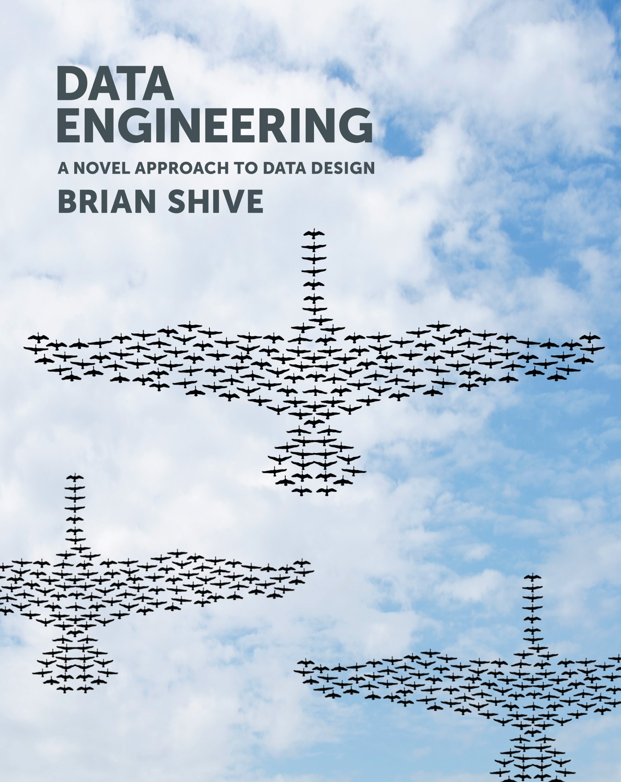 Data Engineering: A Novel Approach to Data Design by Brian Shive (22 ...