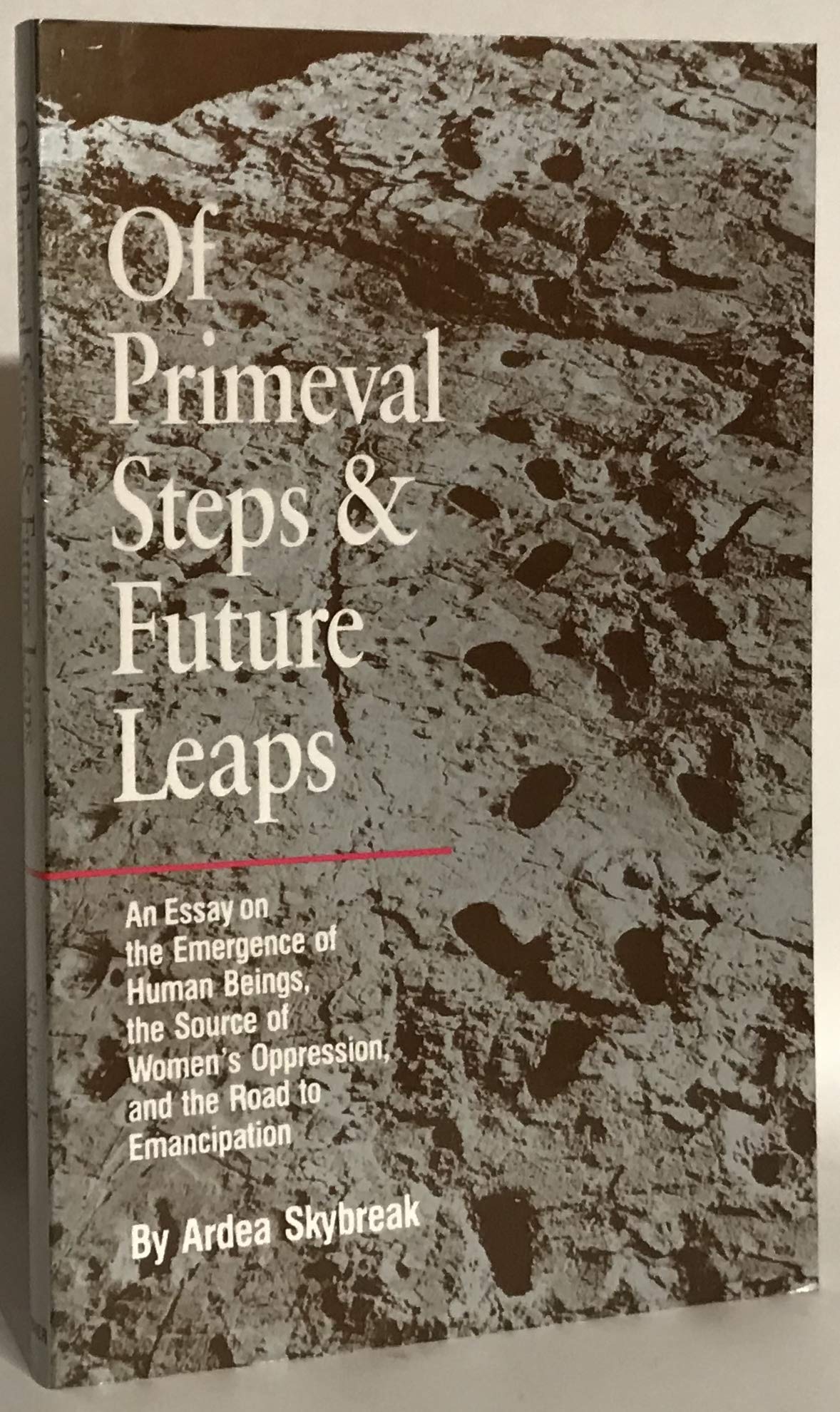 Of Primeval Steps and Future Leaps: An Essay on the Emergence of Human ...