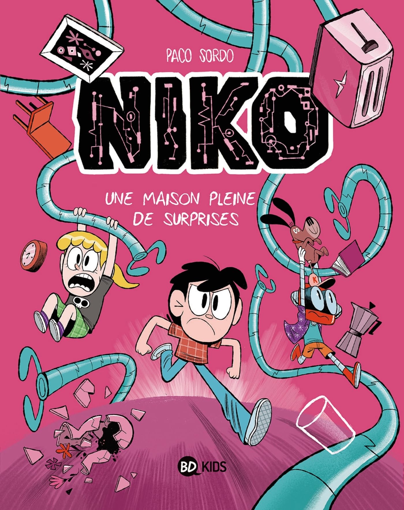 Niko, Tome 03: Une maison pleine de surprises by Paco Sordo | Goodreads