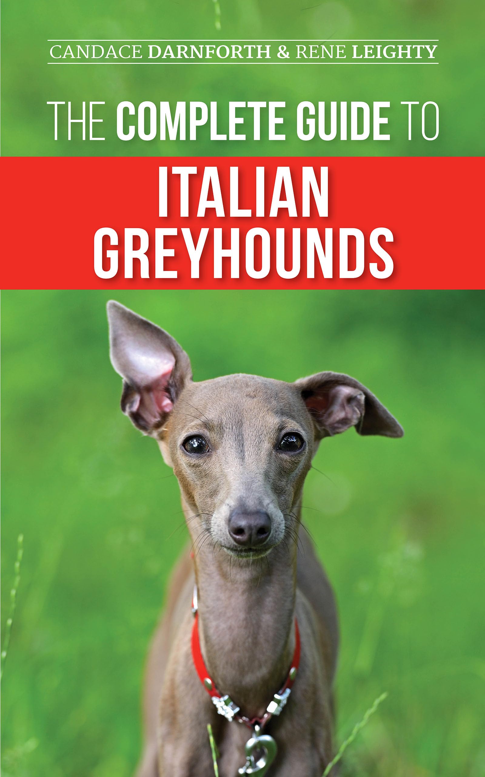 The Complete Guide to Italian Greyhounds: Training, Properly Exercising ...