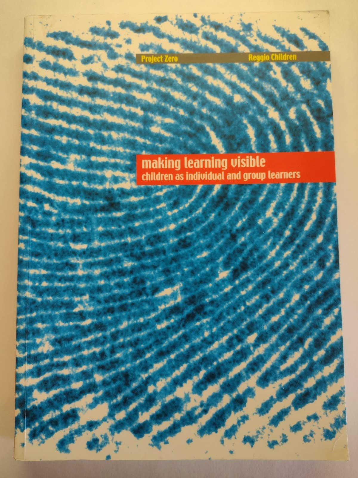 Making Learning Visible: Children As Individual and Group Learners by ...