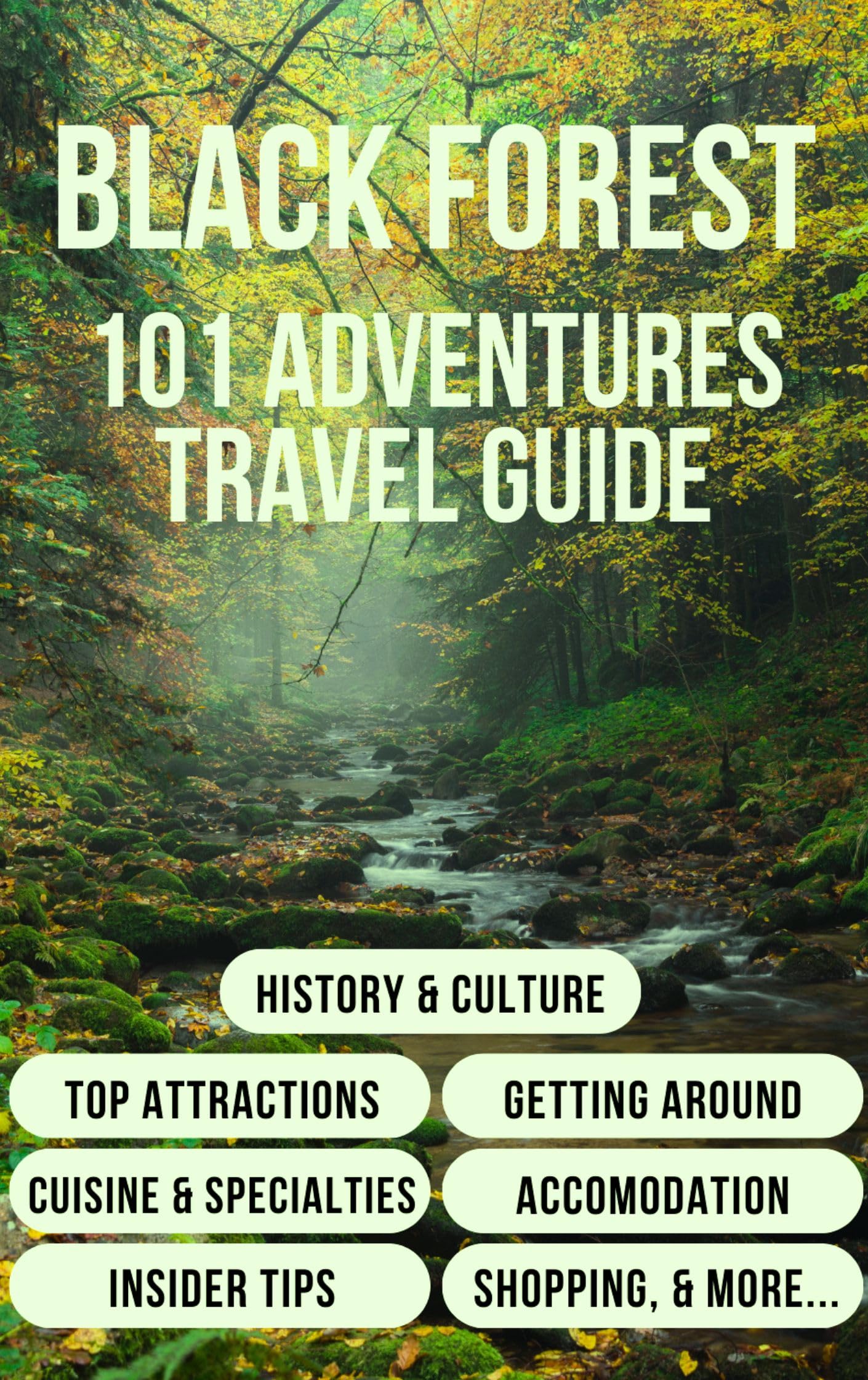 Black Forest 101 Adventures Travel Guide: Explore the Top Destinations ...