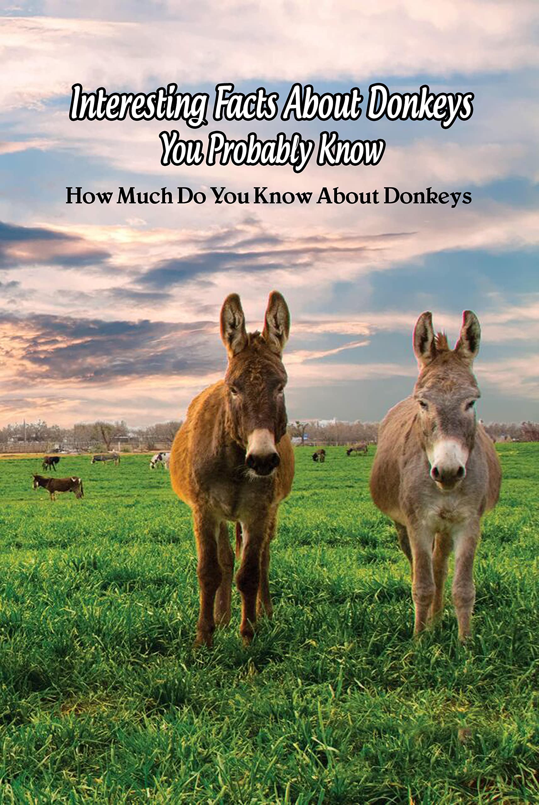 Interesting Facts About Donkeys You Probably Know: How Much Do You Know ...