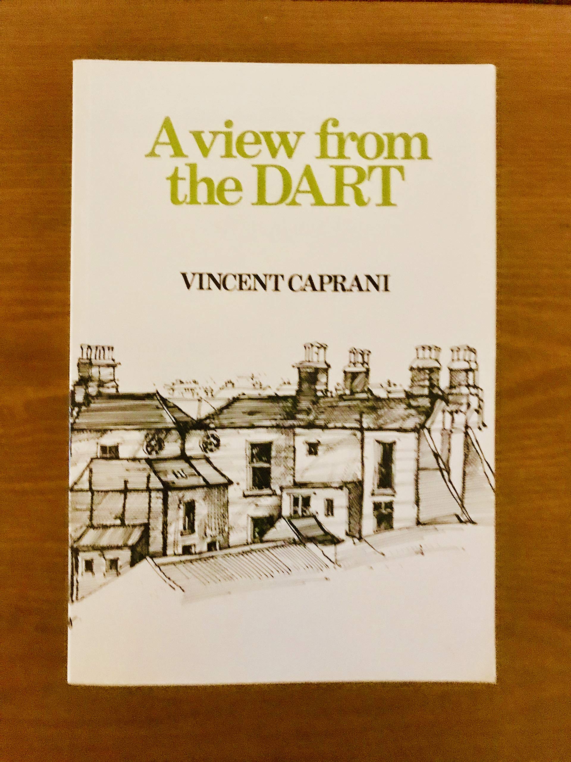 A view from the DART by Vincent Caprani | Goodreads