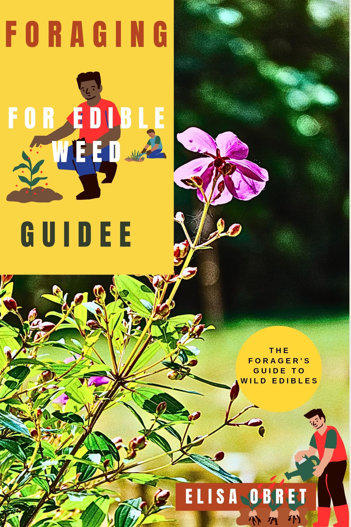 FORAGING FOR EDIBLE WEEDS GUIDE: The Forager's Guide to Wild Edibles by ...