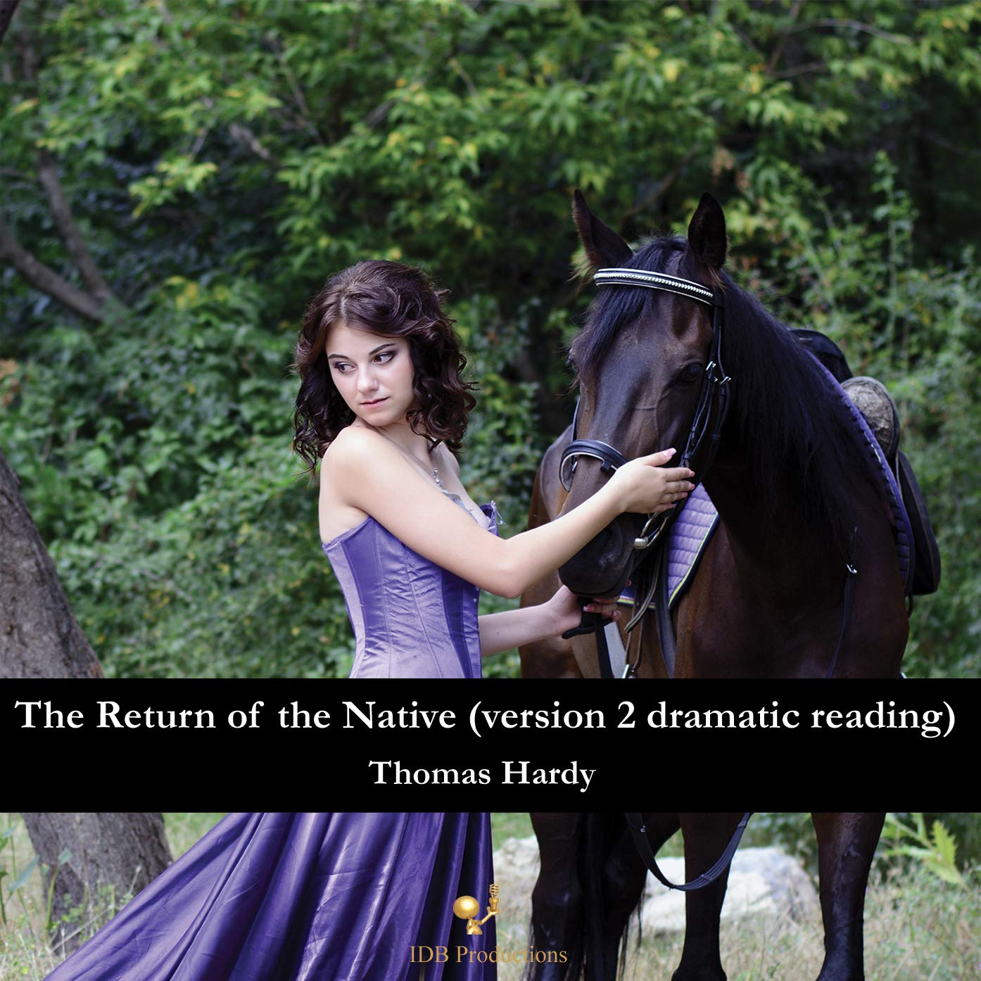 The Return of the Native (version 2 dramatic reading) by Thomas Hardy | Goodreads
