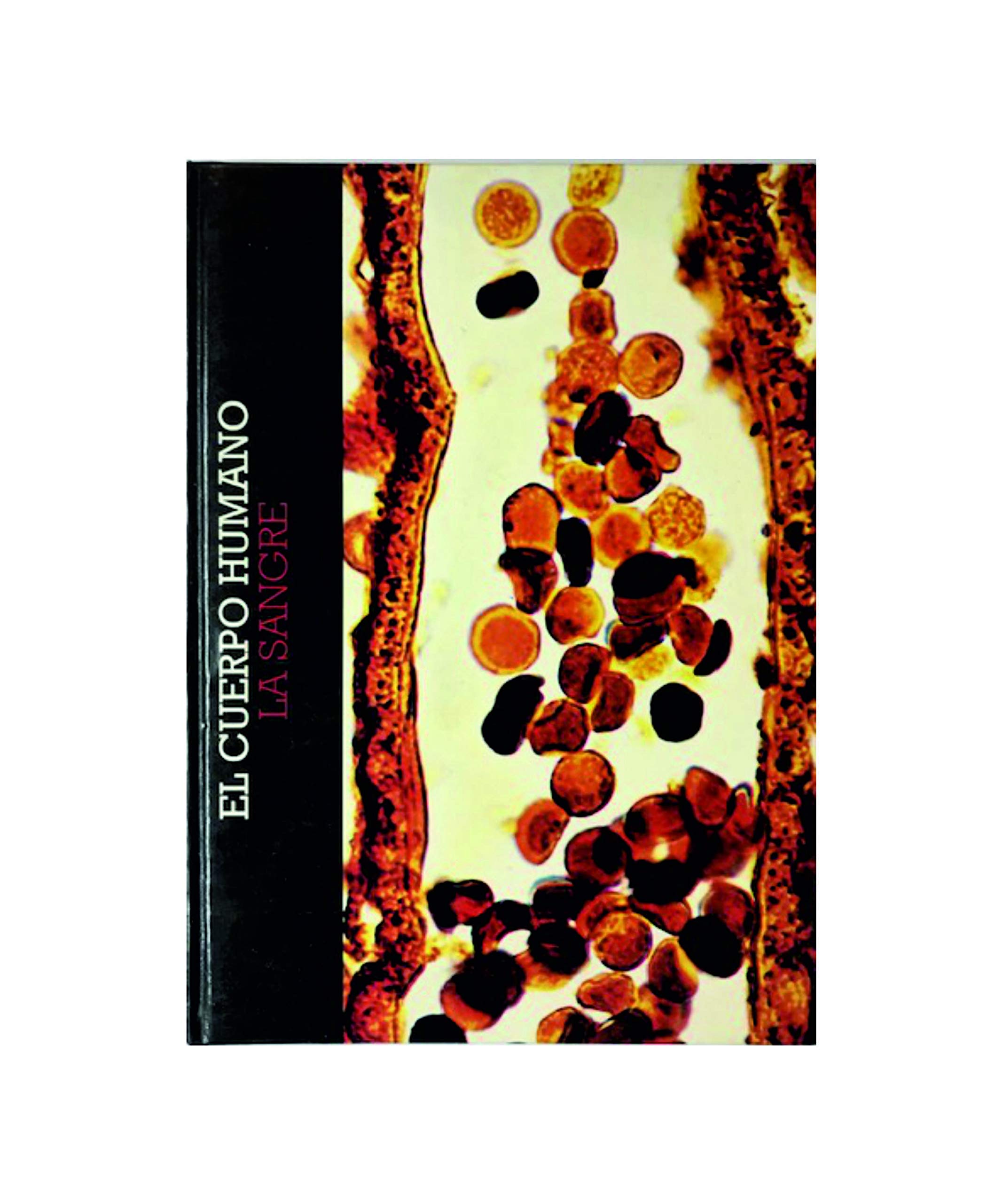 El Cuerpo Humano La Sangre By Unknown Author Goodreads