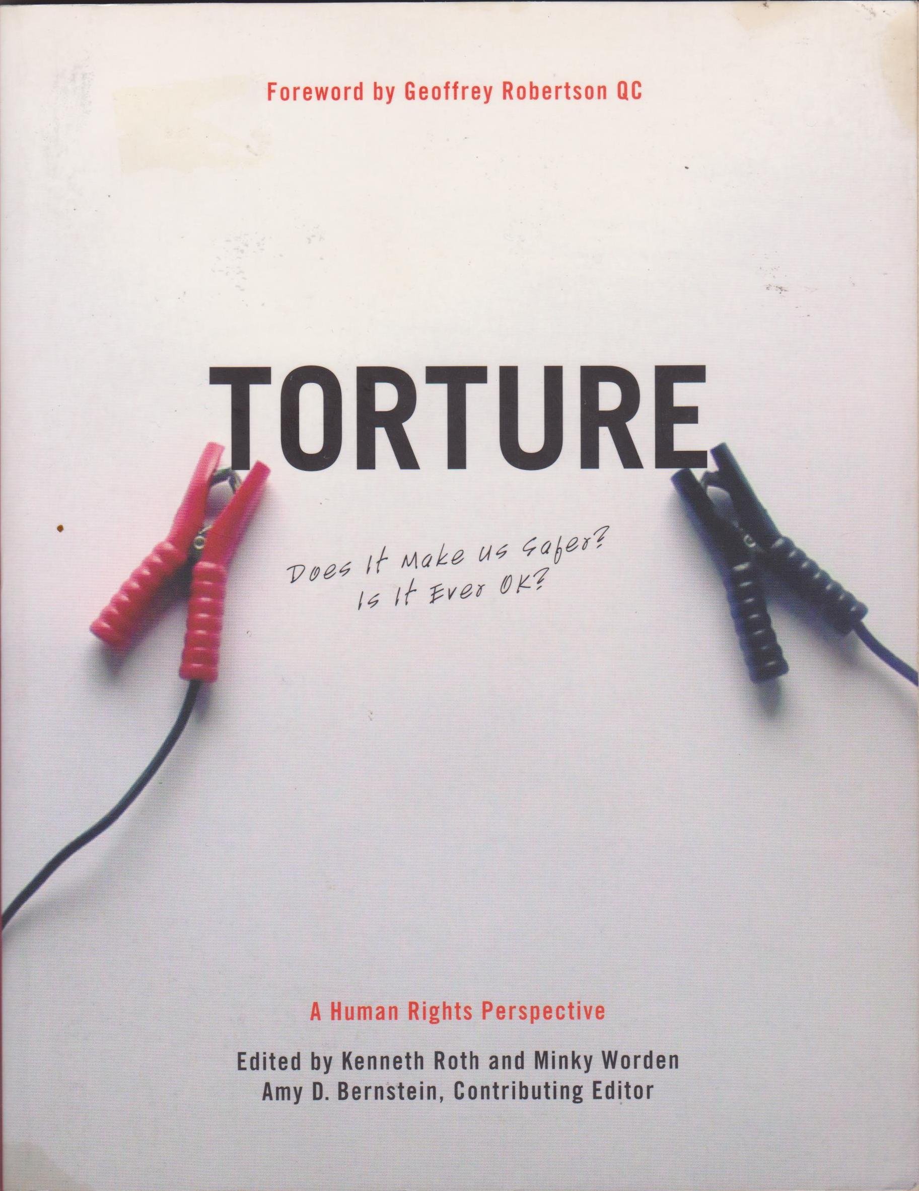 Torture: Does It Make Us Safer? Is It Ever Ok?: A Human Rights ...