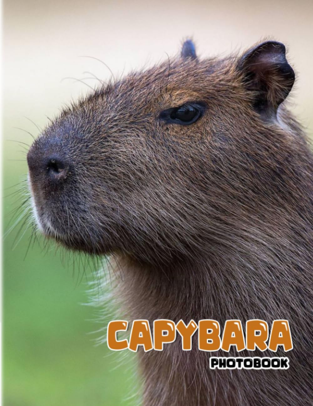 Capybara Photobook: Pictures Book For All Ages With 40 High Quality ...