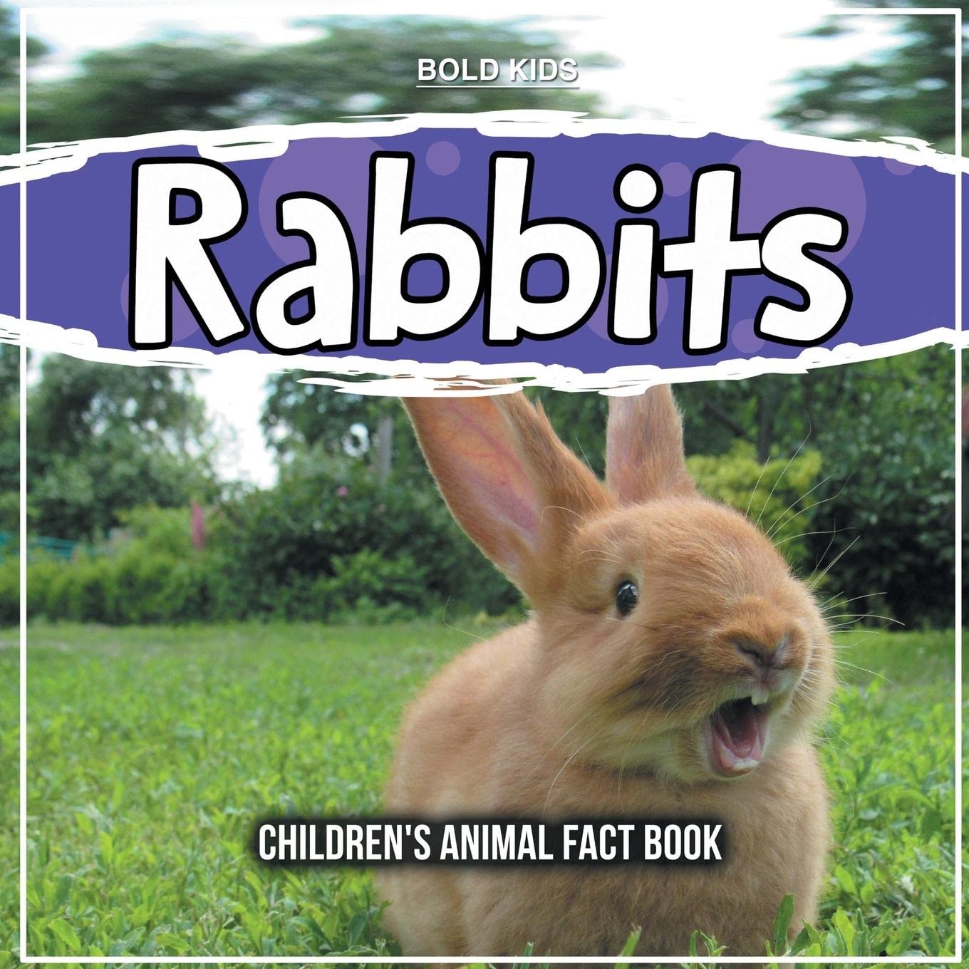 Rabbits: Children's Animal Fact Book by Bold Kids | Goodreads