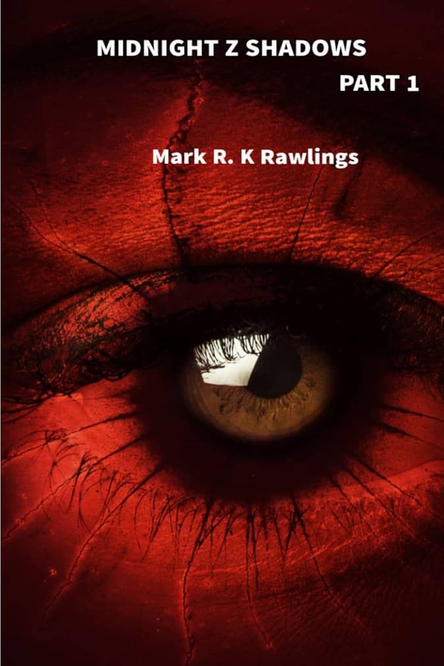 MIDNIGHT Z SHADOWS HAUNTING SOULS PART I: A Halloween Horror Anthology ...