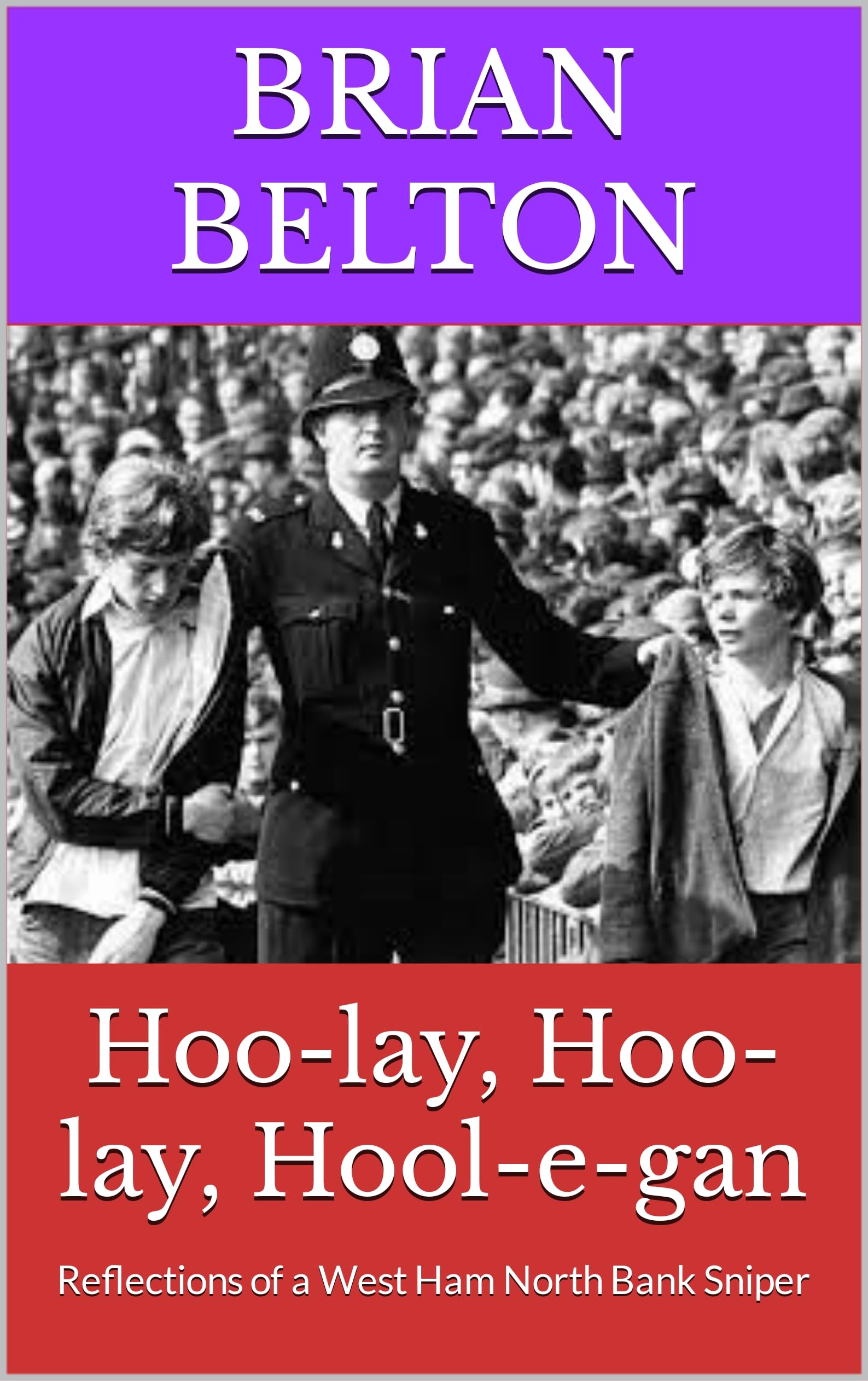 Hoo-lay, Hoo-lay, Hool-e-gan: Reflections of a West Ham North Bank ...