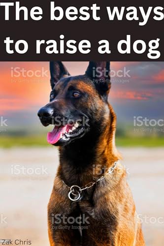 Best ways to raise a dog: the perfect and practical guide to train your ...
