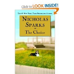 The Choice by Joanna Erle | Goodreads