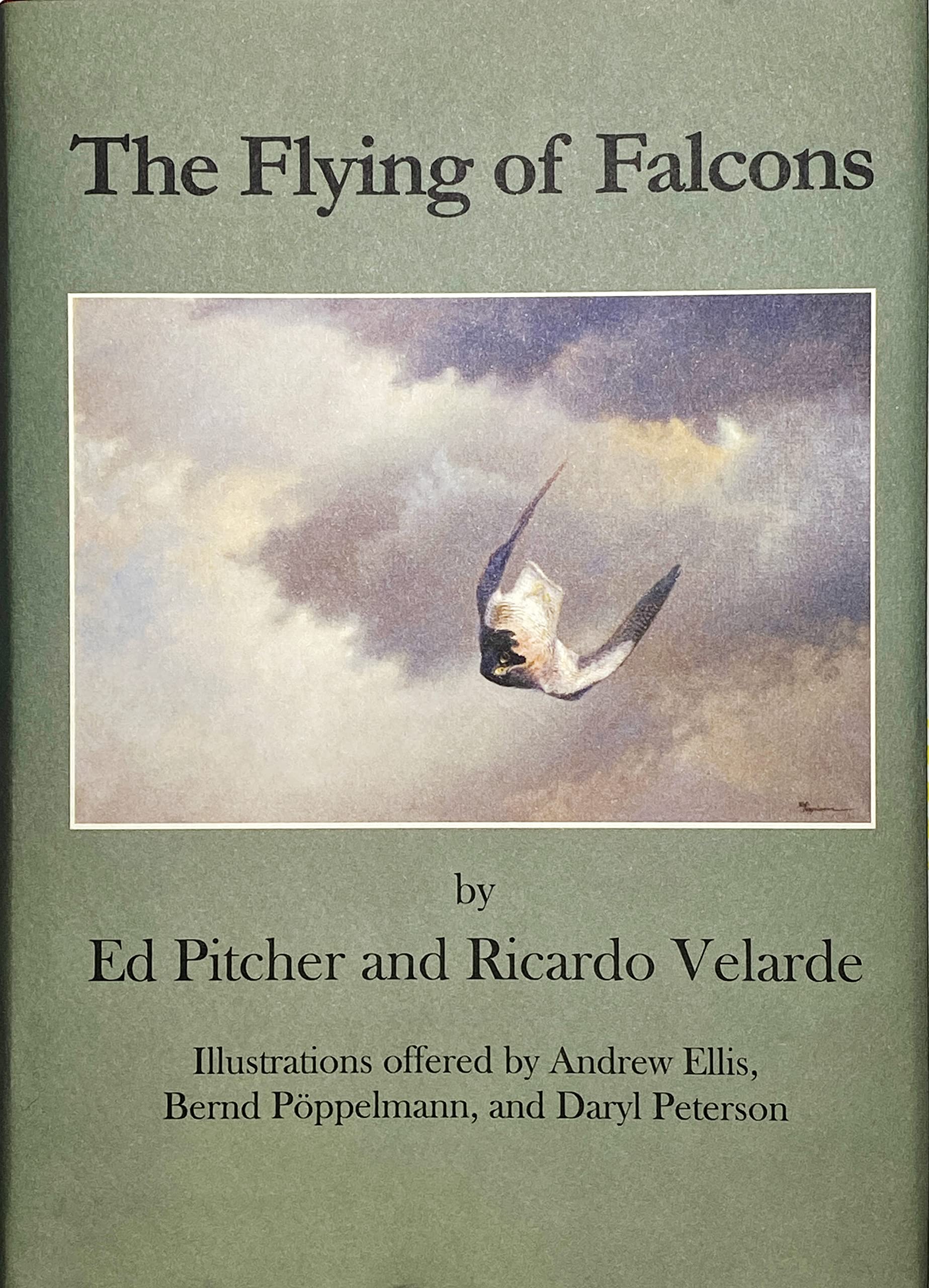 The Flying of Falcons by Ed Pitcher | Goodreads