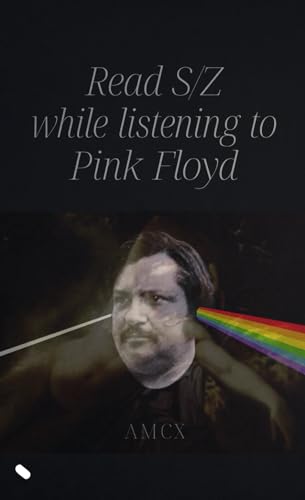 Read S/Z while listening to Pink Floyd by AMCX | Goodreads