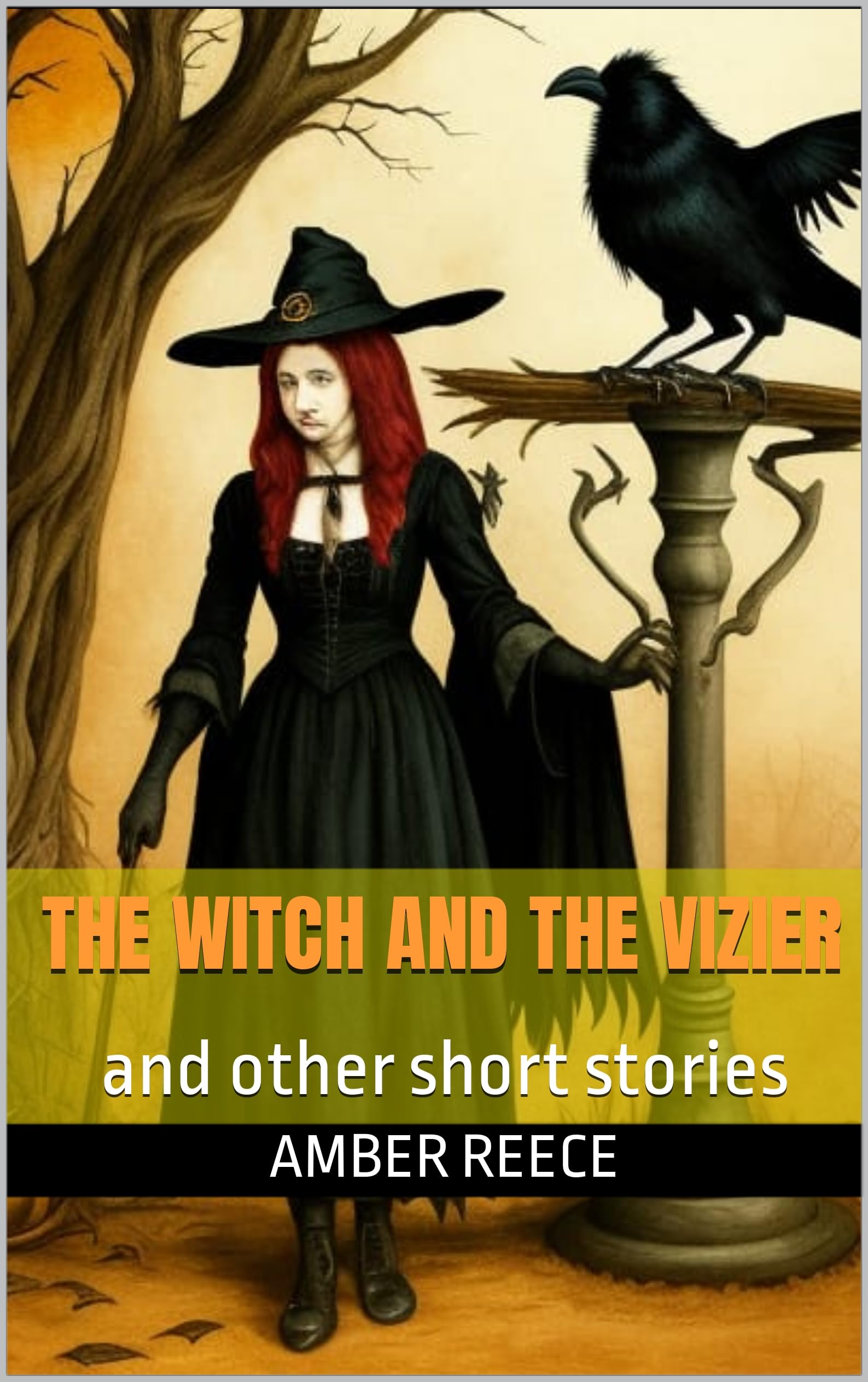 The Witch and the Vizier: and other short stories by Amber Reece ...