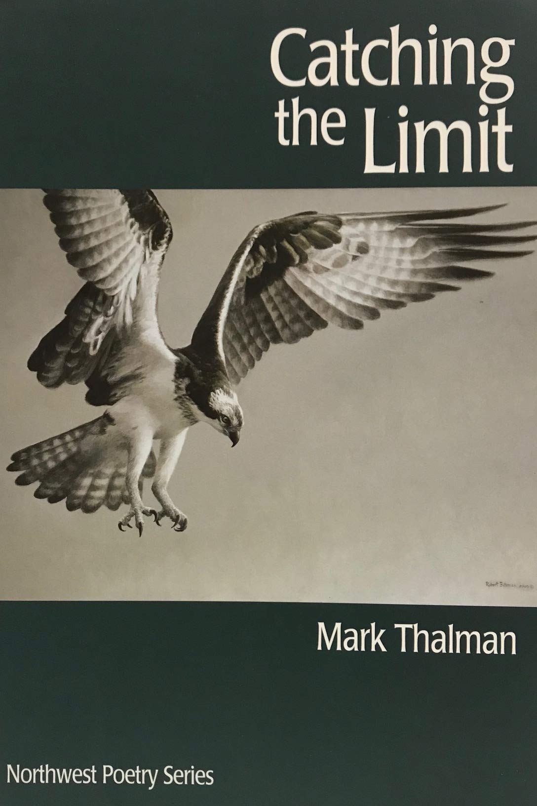 Catching the Limit by Mark Thalman | Goodreads