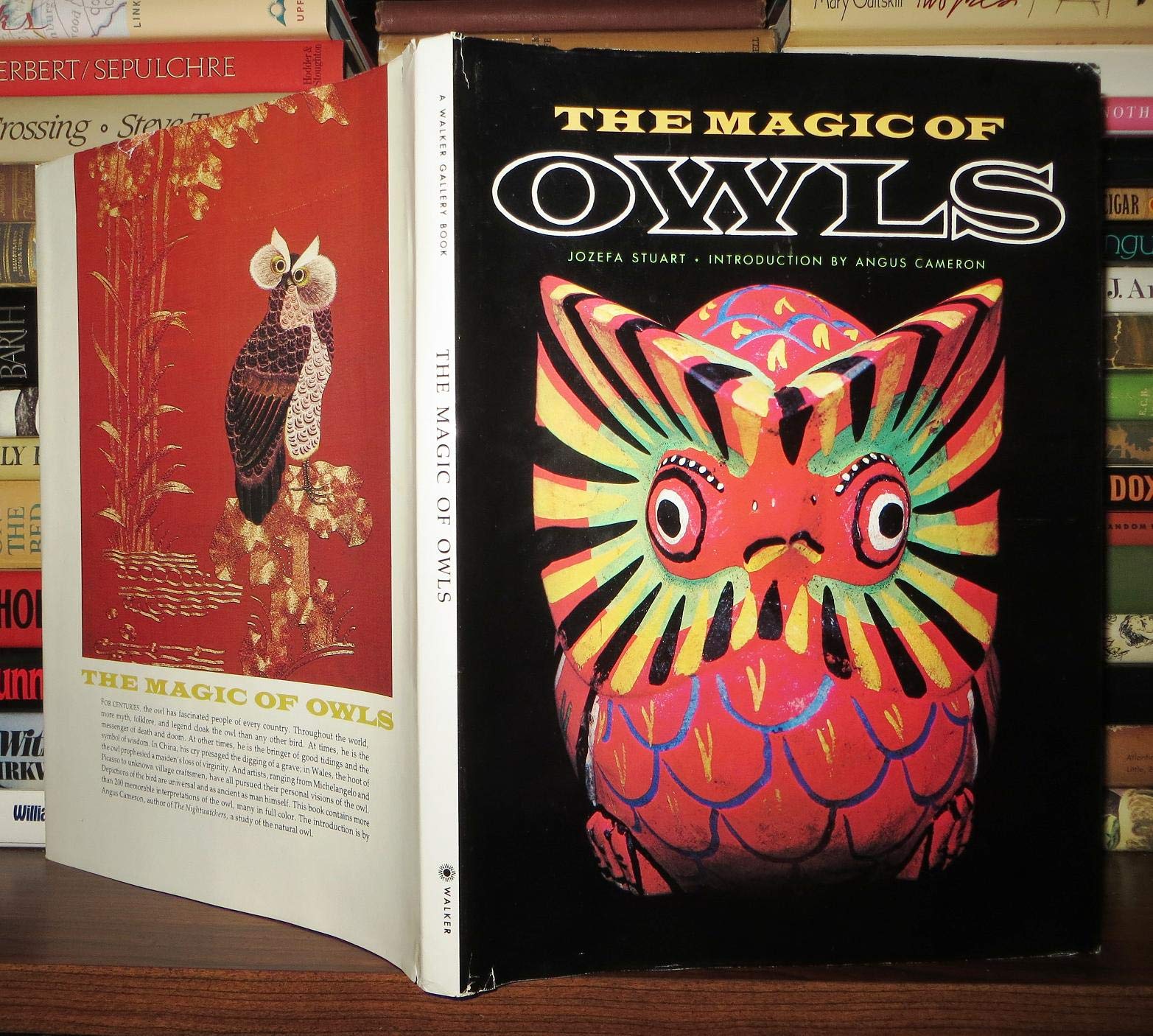 The Magic of Owls (Walker Gallery Book) by Jozefa Stuart | Goodreads