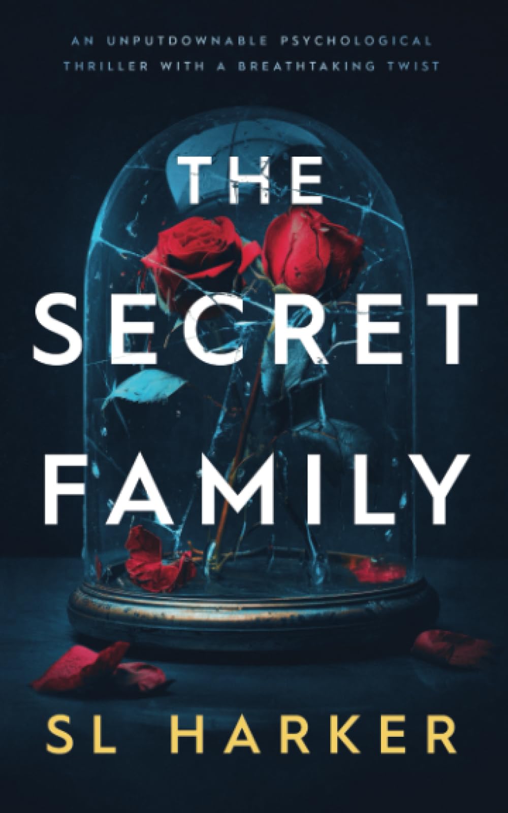 The Secret Family: An unputdownable psychological thriller with a ...