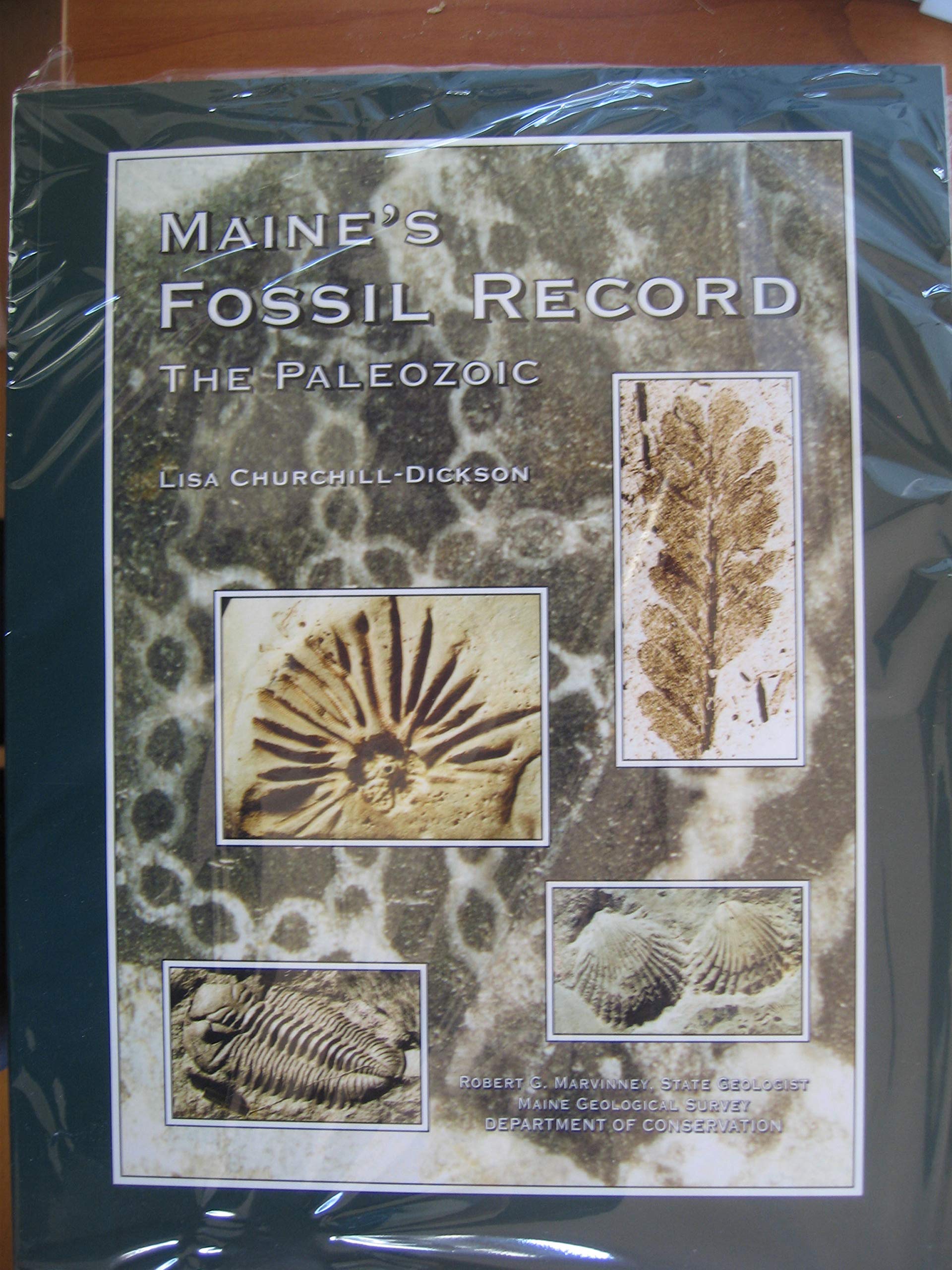 Maine's Fossil Record: The Paleozoic by Lisa Churchill-Dickson | Goodreads