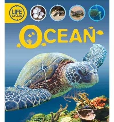 [ Ocean (Lifecycles (Kingfisher)) By Callery, Sean ( Author ) Hardcover ...
