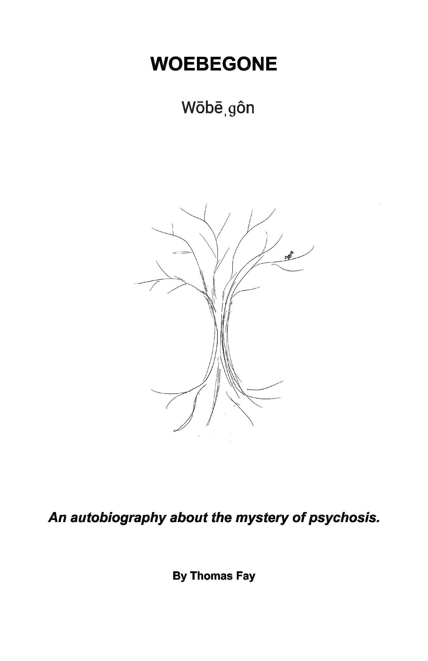 WOEBEGONE: An autobiography about the mystery of psychosis. by Thomas ...