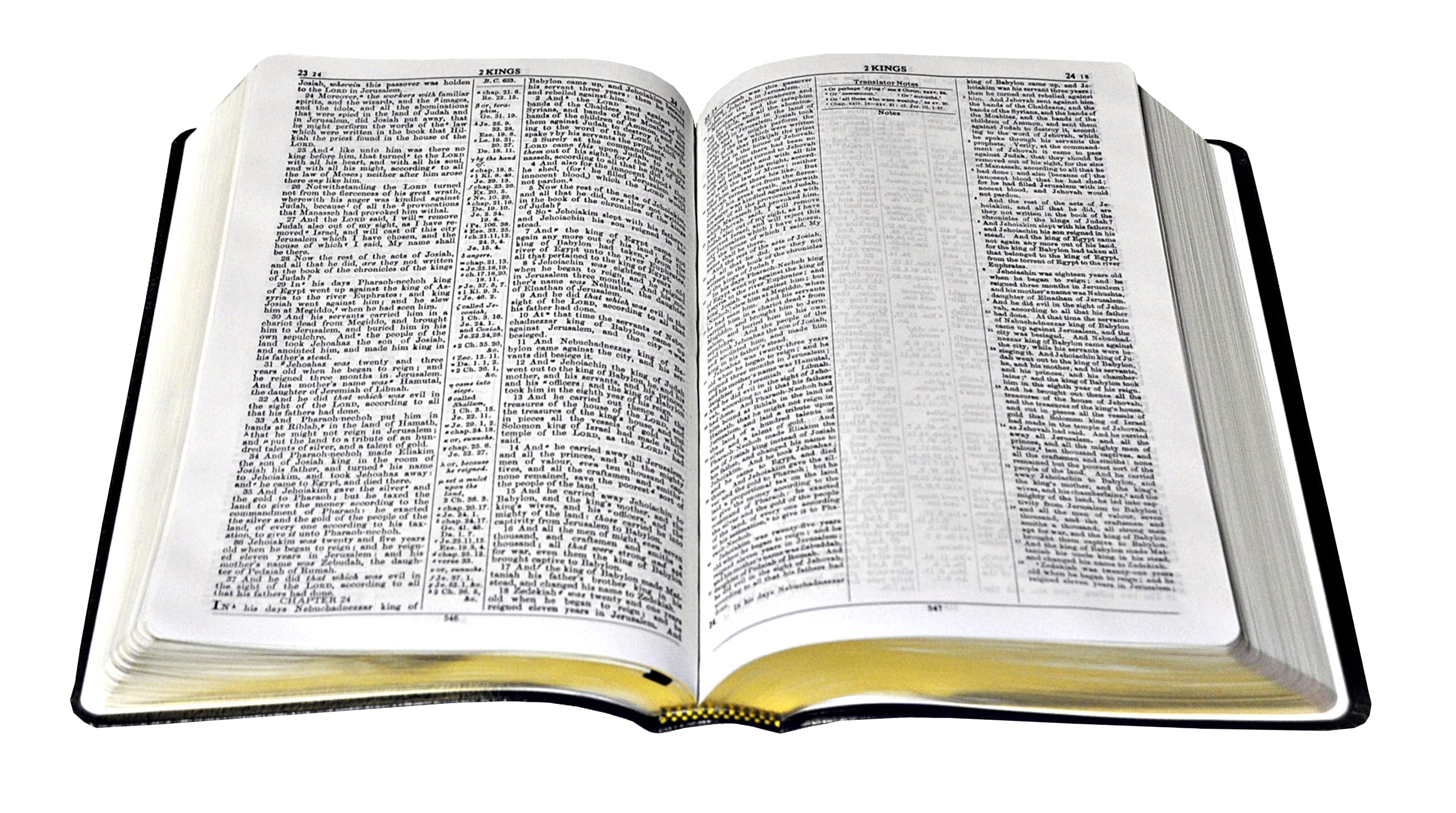 King James Version (KJV) and New Translation (Darby) Parallel Bible by ...