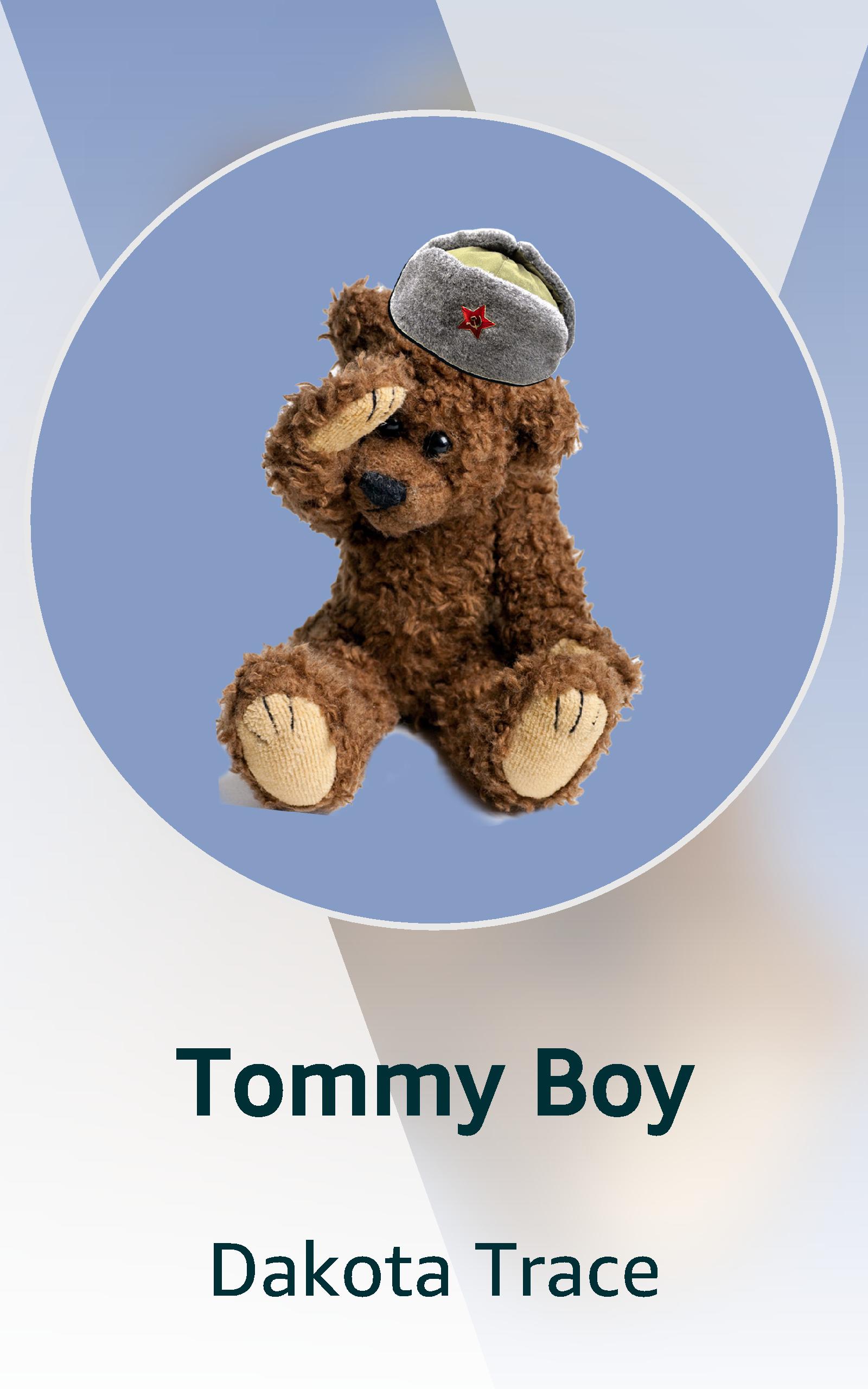 Tommy Boy by Dakota Trace | Goodreads