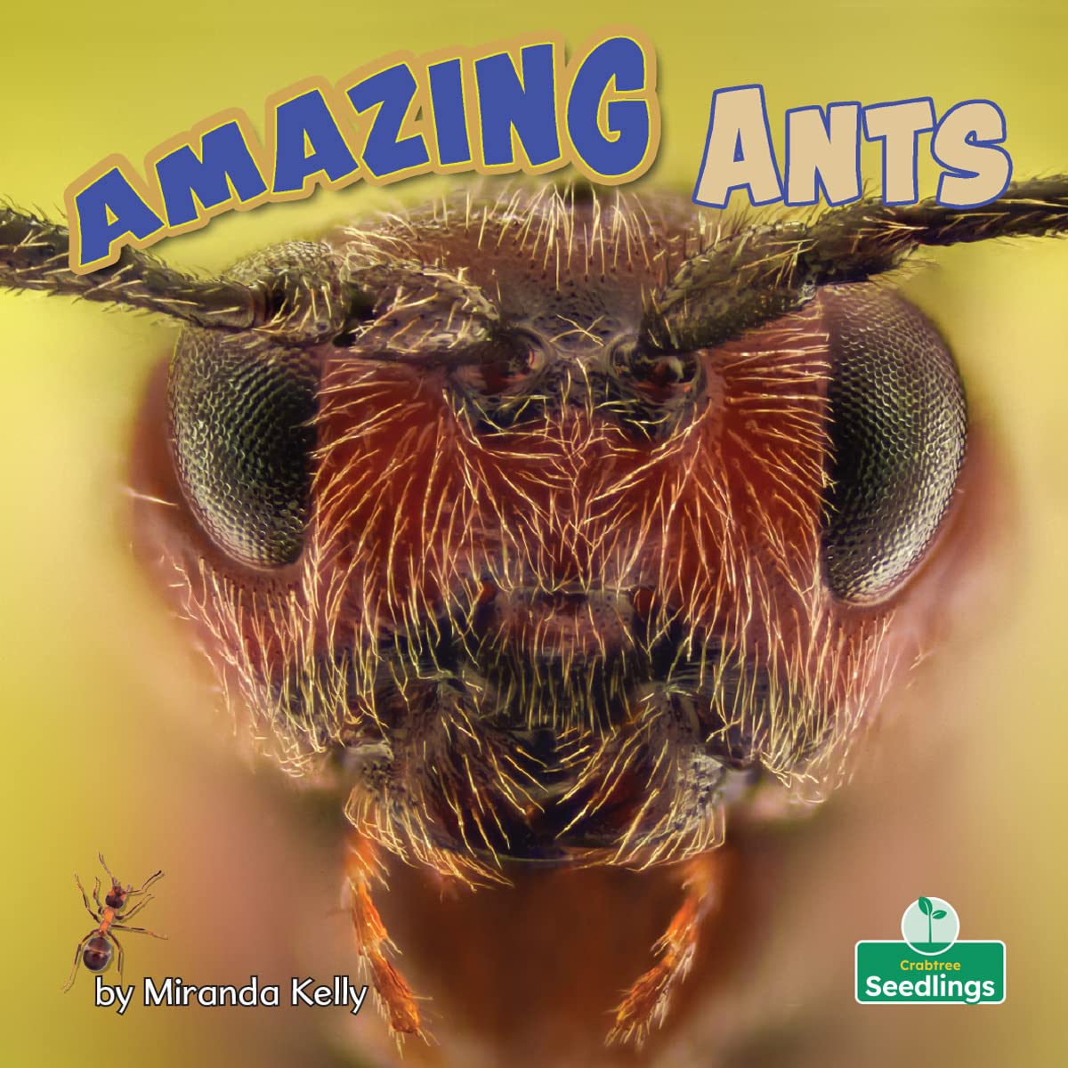 Amazing Ants (Backyard Science) by Miranda Kelly | Goodreads