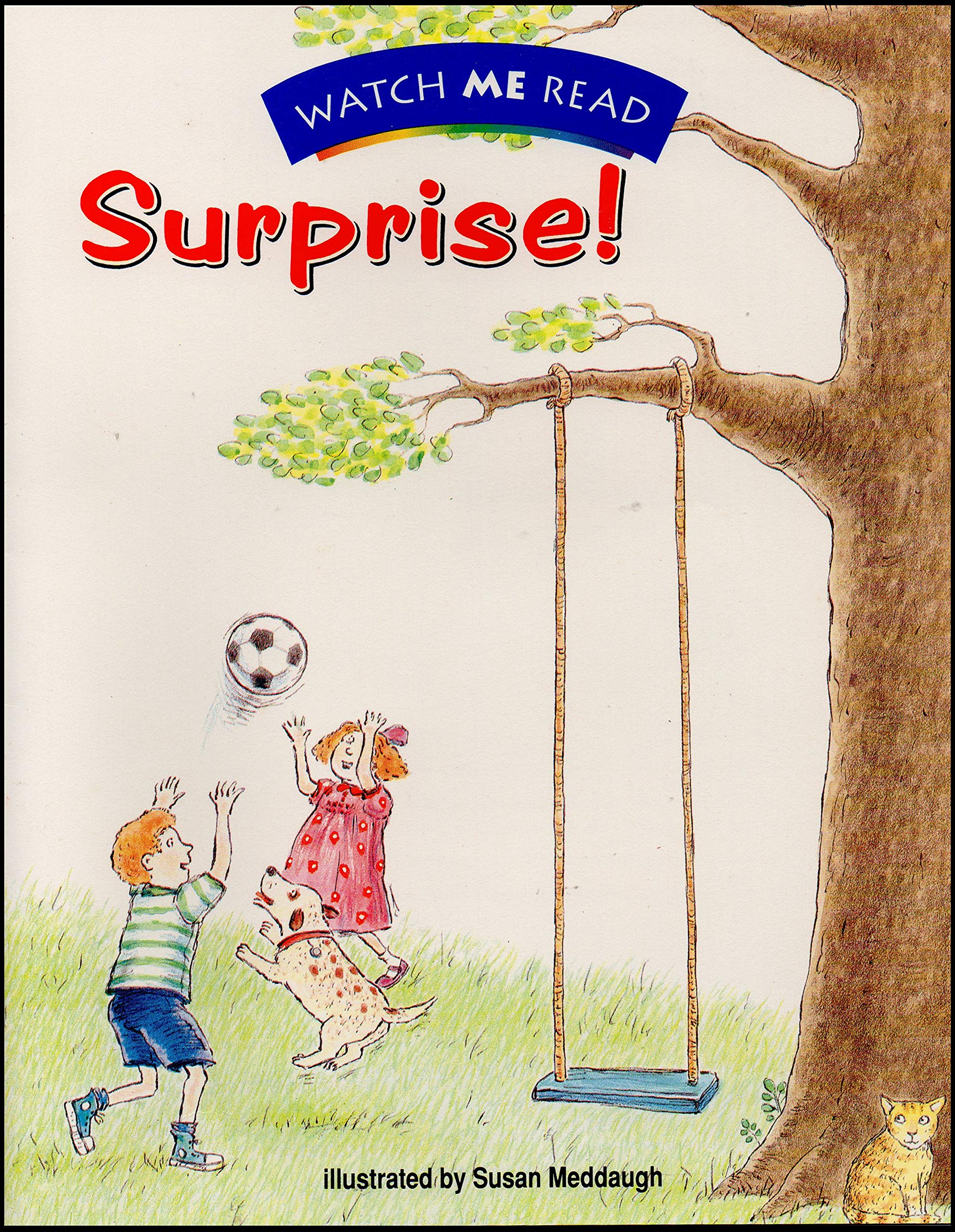 Surprise! by Susan Meddaugh | Goodreads