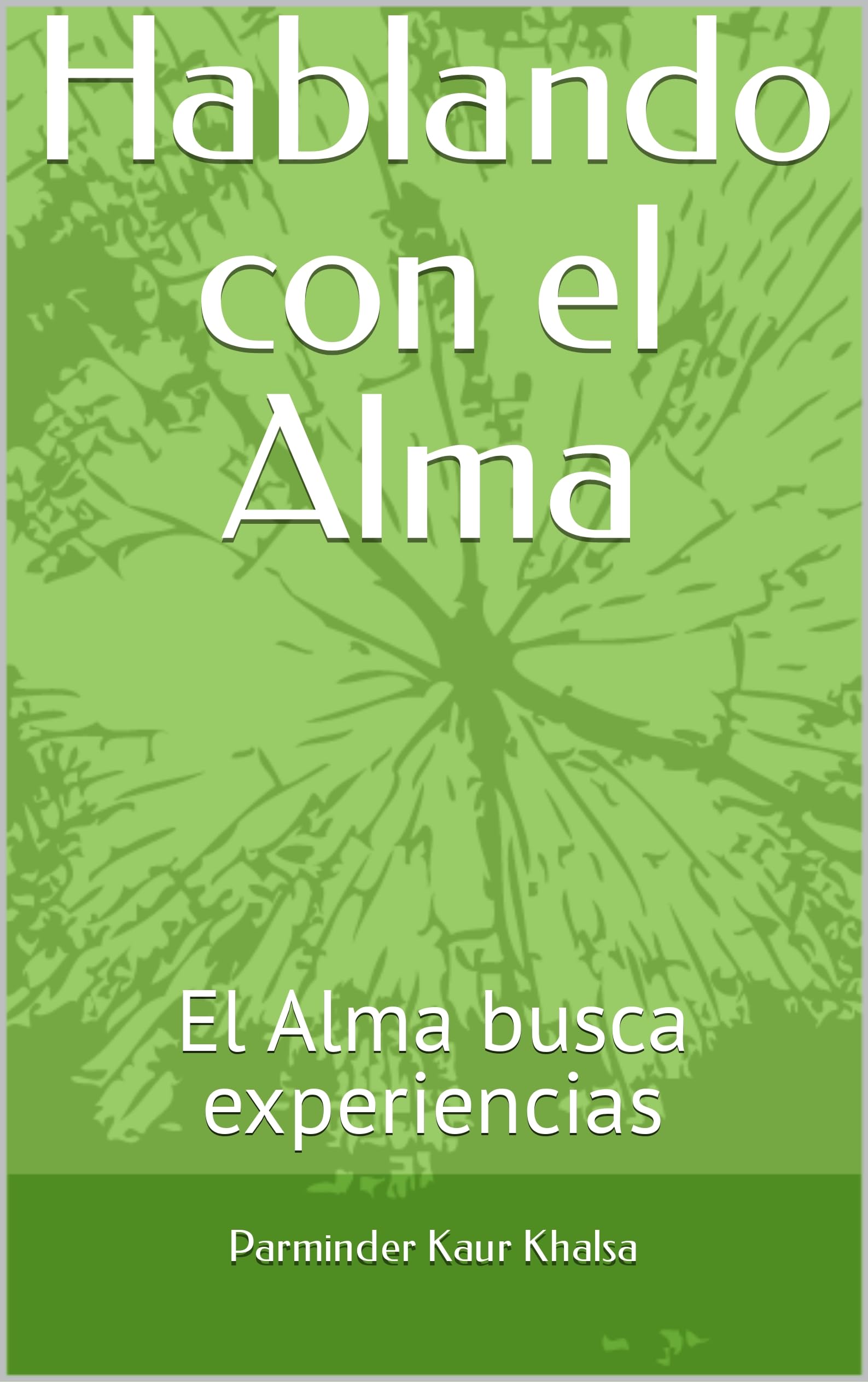 Hablando Con El Alma El Alma Busca Experiencias El Camino De Ananda Hablando Con El Alma El Alma Busca Experiencias El Camino De Ananda