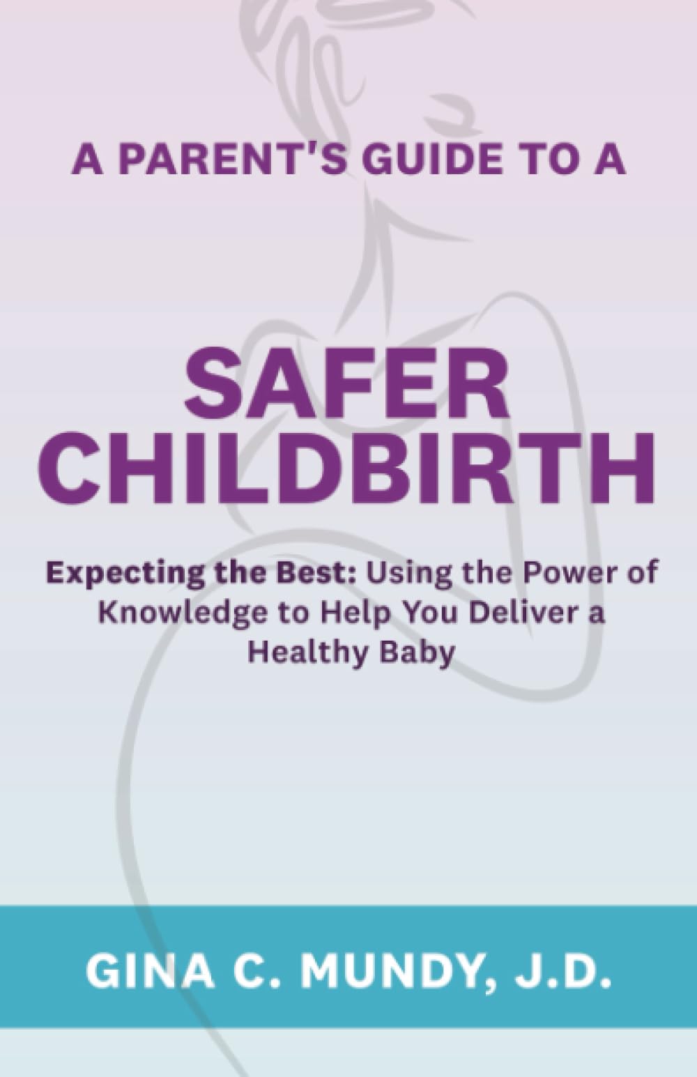 A Parent's Guide to a Safer Childbirth: Expecting the Best: Using the ...