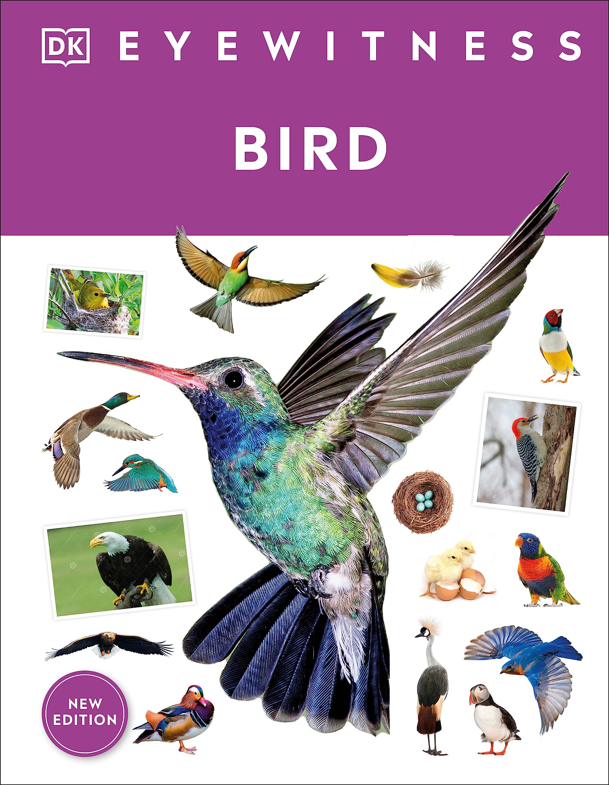 Eyewitness Bird (DK Eyewitness) by D.K. Publishing | Goodreads