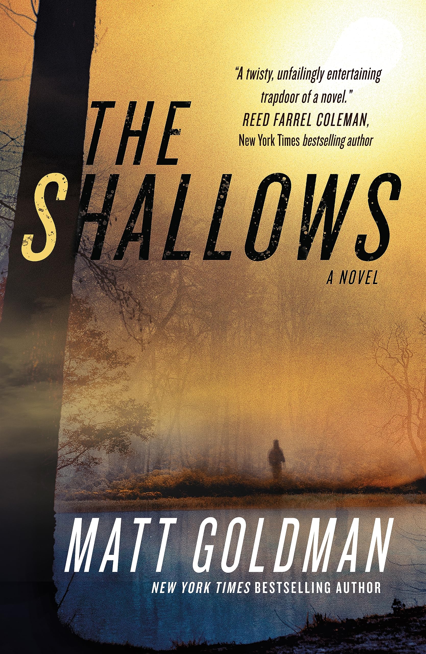 The Shallows: A Nils Shapiro Novel (Nils Shapiro, 3) by Matt Goldman ...