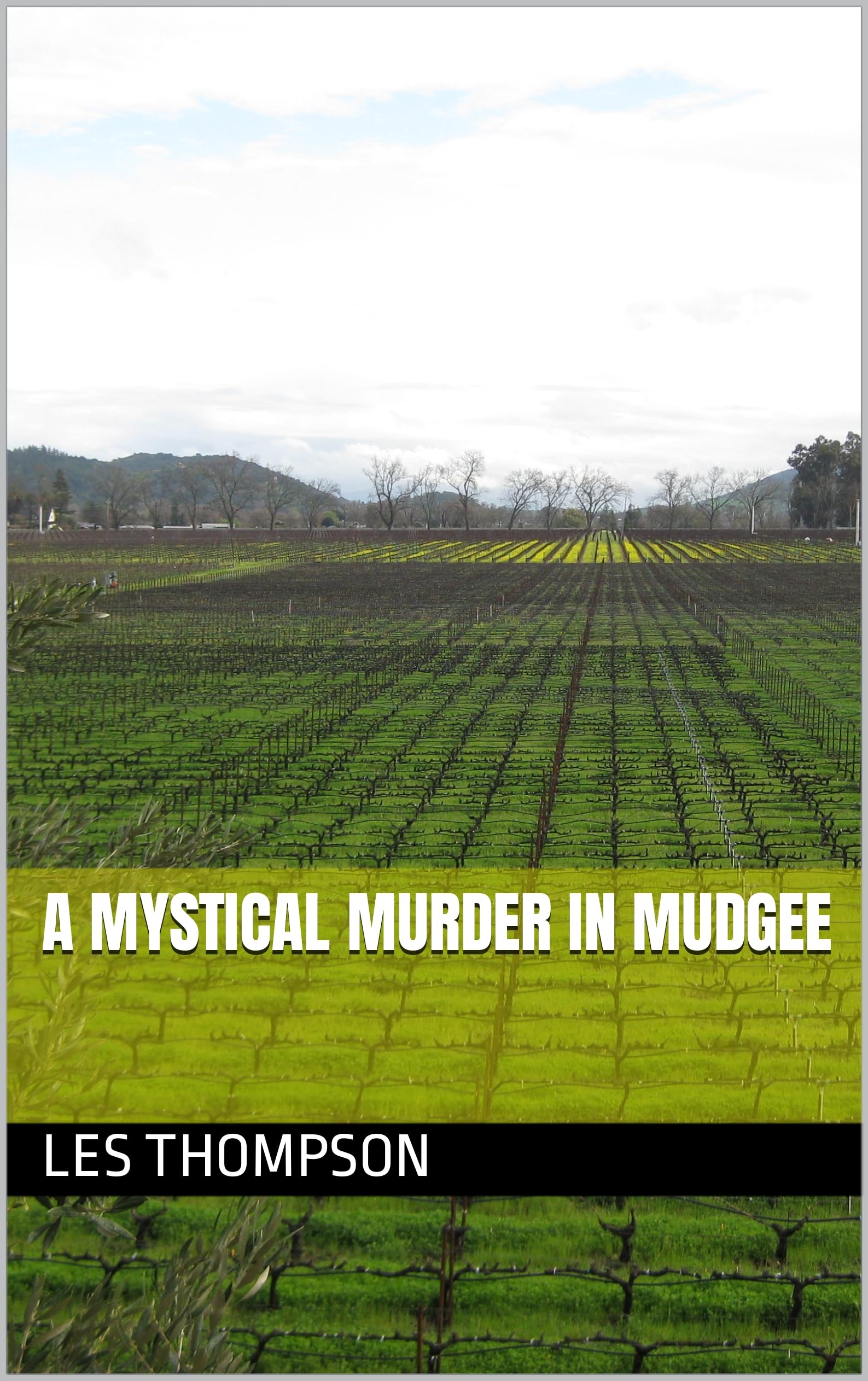 A Mystical Murder In Mudgee by Les Thompson | Goodreads