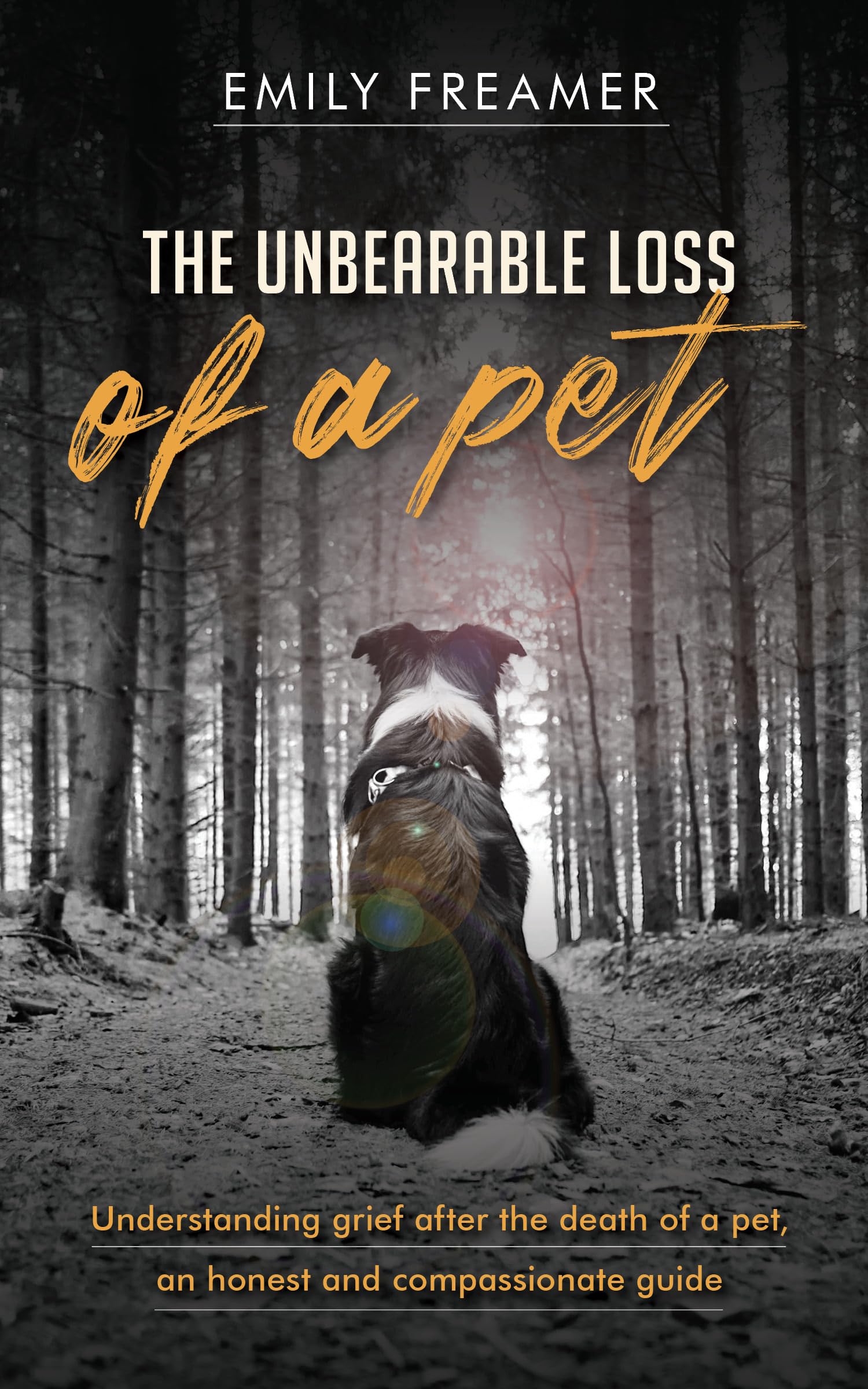 The Unbearable Loss of a Pet : Understanding Grief After the Death of a ...