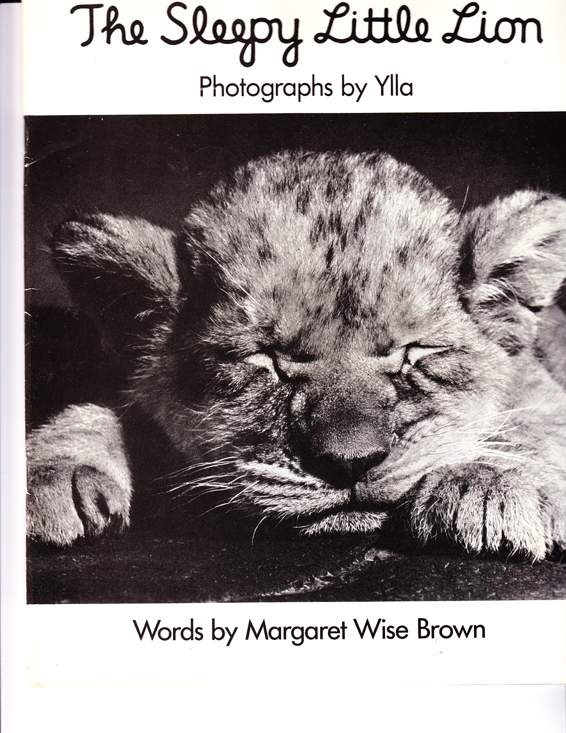 Sleepy Little Lion by Margaret Wise Brown | Goodreads