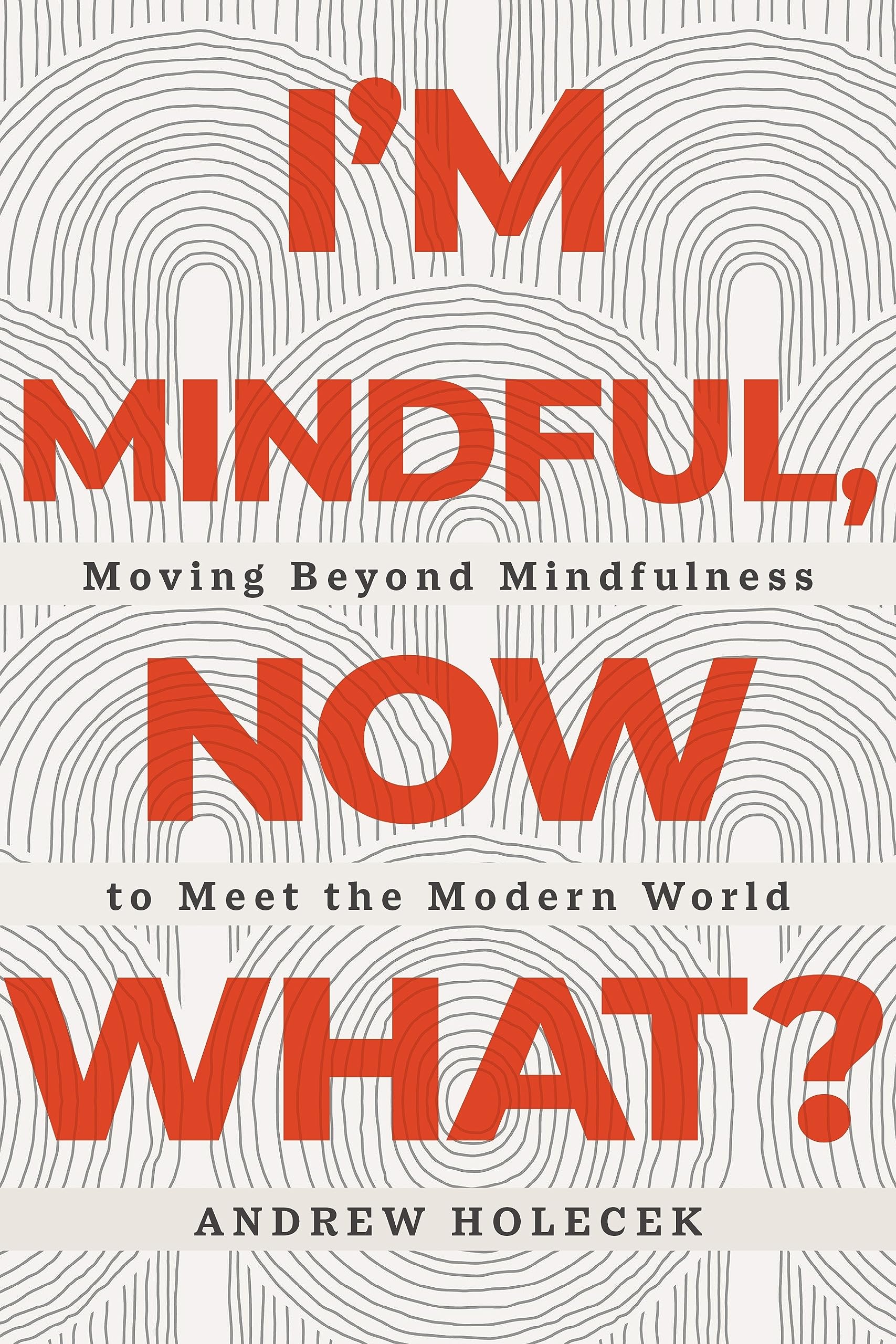 I'm Mindful, Now What?: Moving Beyond Mindfulness to Meet the Modern ...