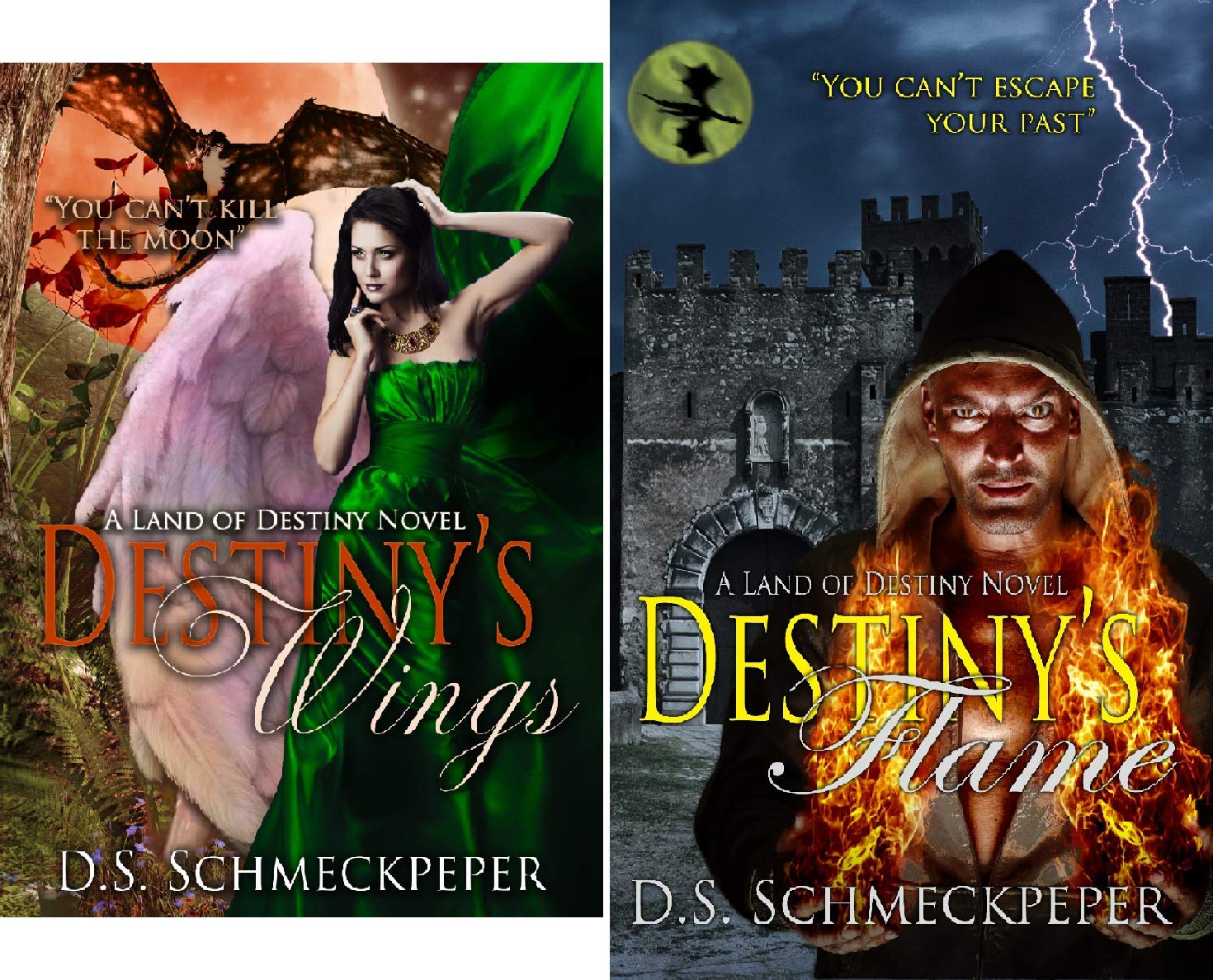 Land of Destiny (2 Book Series) by D.S. Schmeckpeper | Goodreads