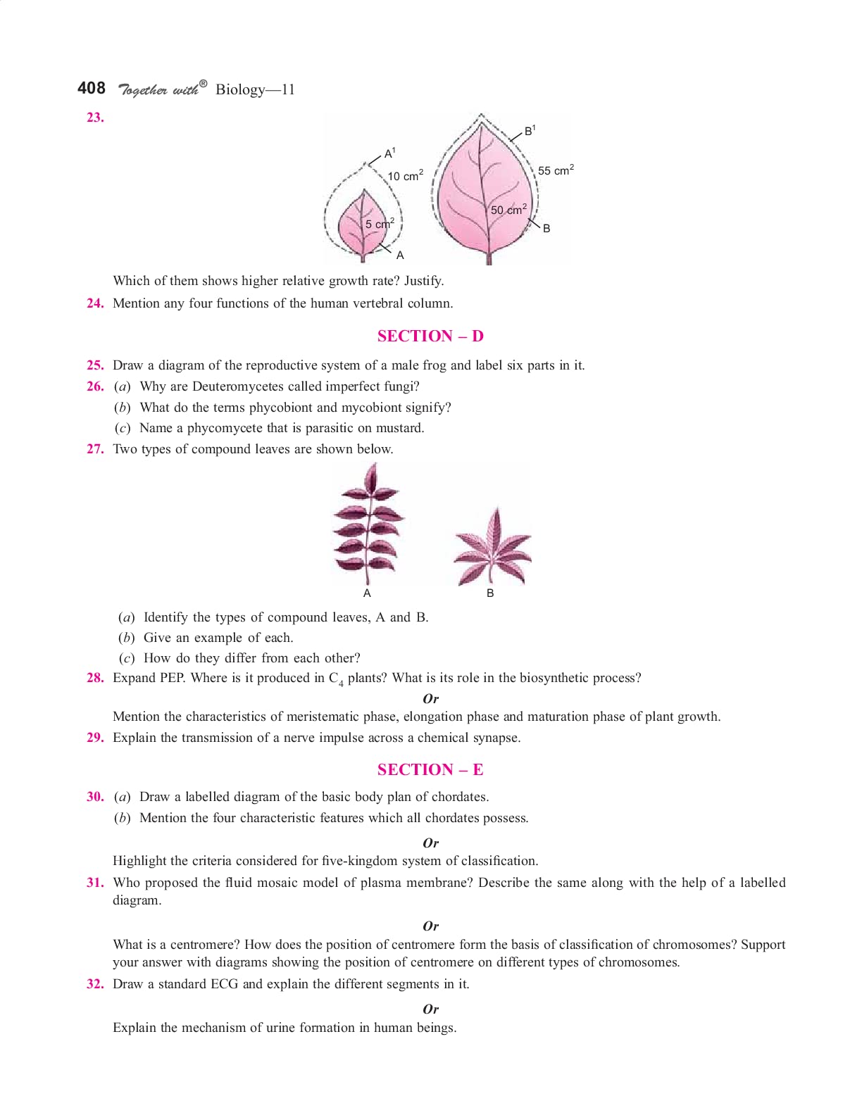 Rachna Sagar CBSE Class 11 Biology Solved Question Bank & Practice ...