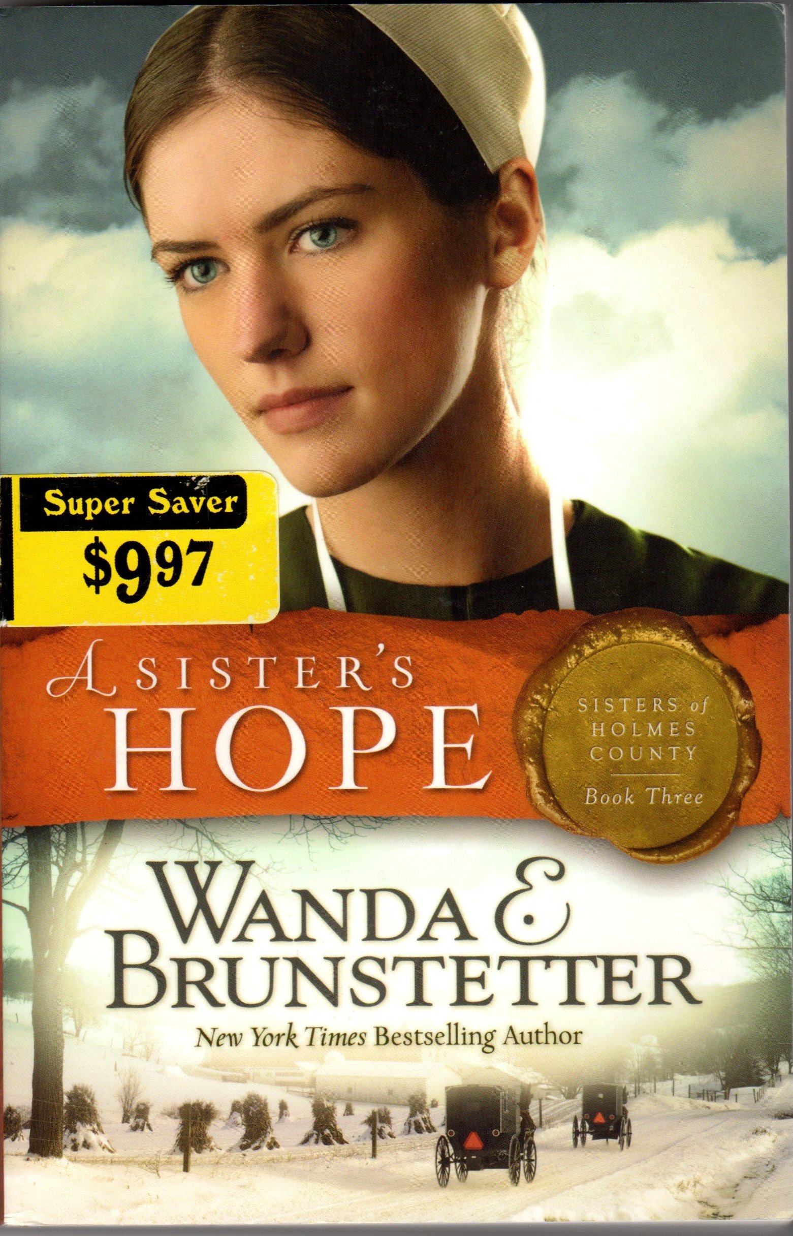 Sisters of Holmes County Set: A Sister's Secret; A Sister's Test; A ...