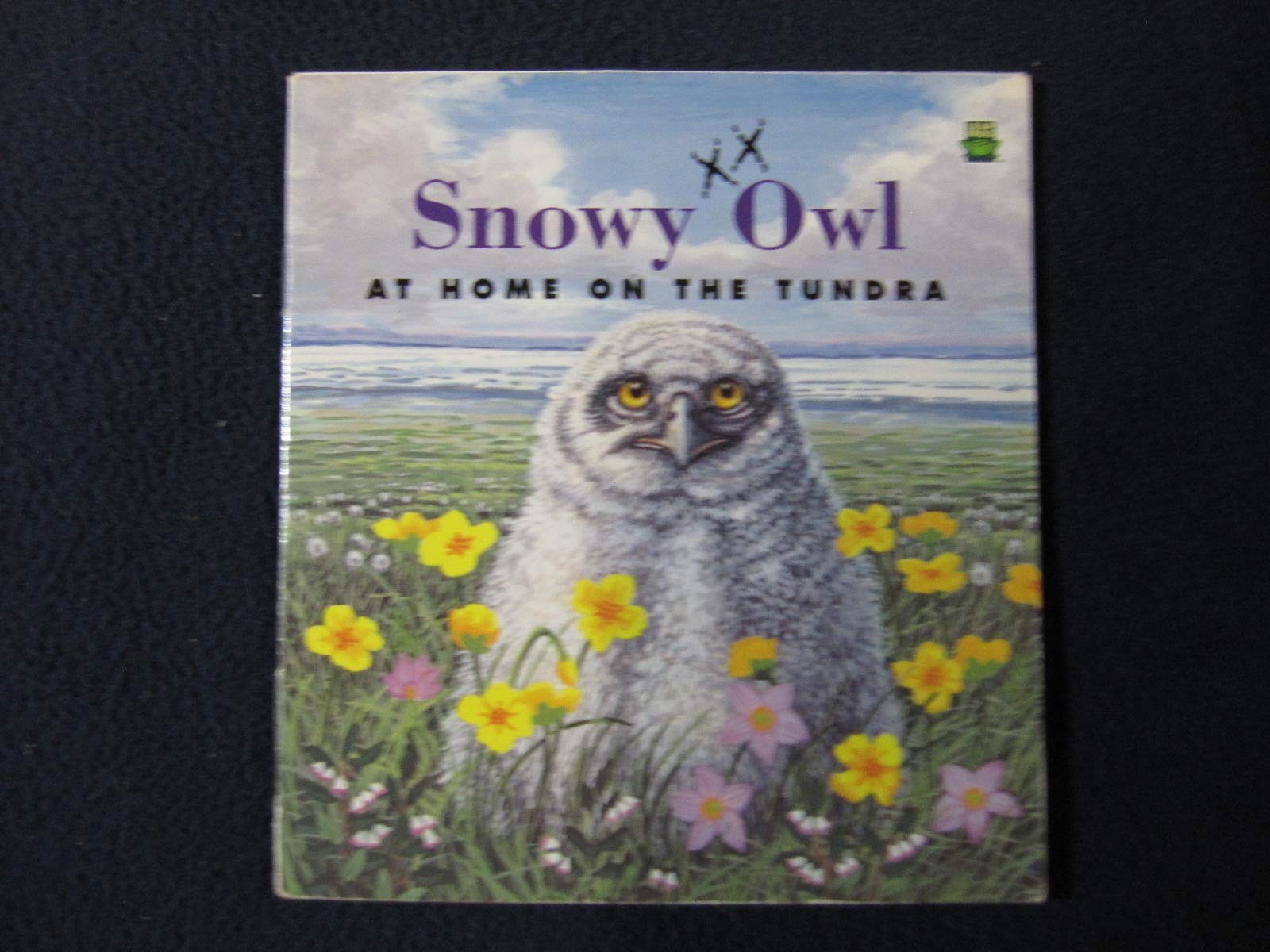 Snowy owl: At home on the tundra by Unknown | Goodreads