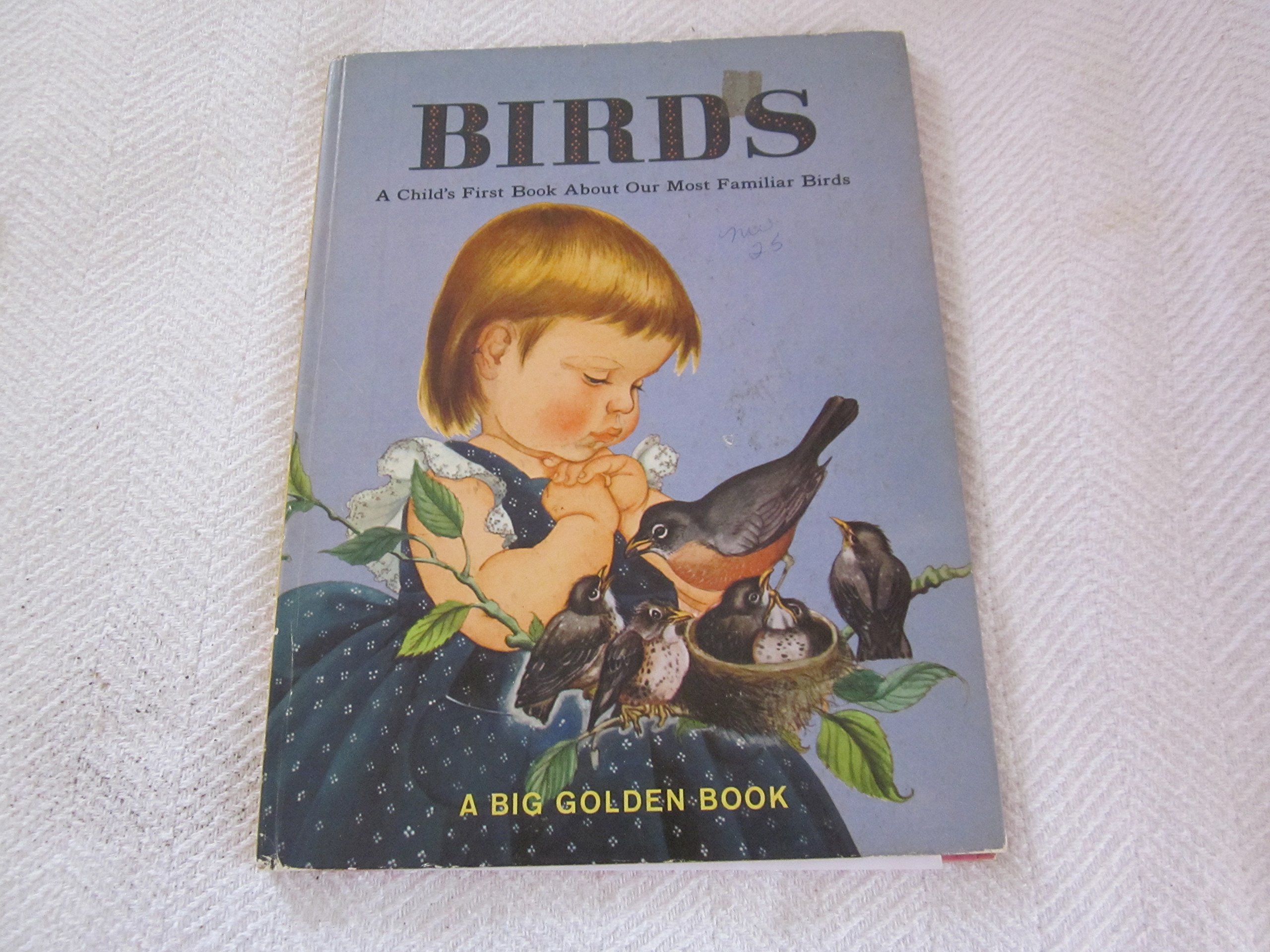Birds: A Child's First Book About Our Most Familiar Birds- A Big Gold ...