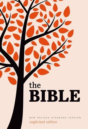 [New Revised Standard Version Bible: Popular Text Edition] [By ...