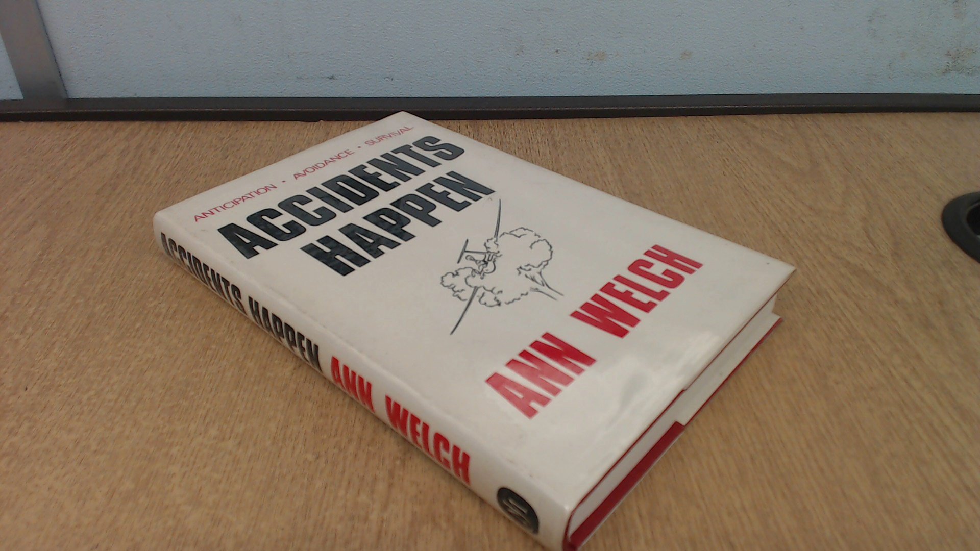 Accidents Happen: Anticipation, Avoidance, Survival by Ann Courtenay ...