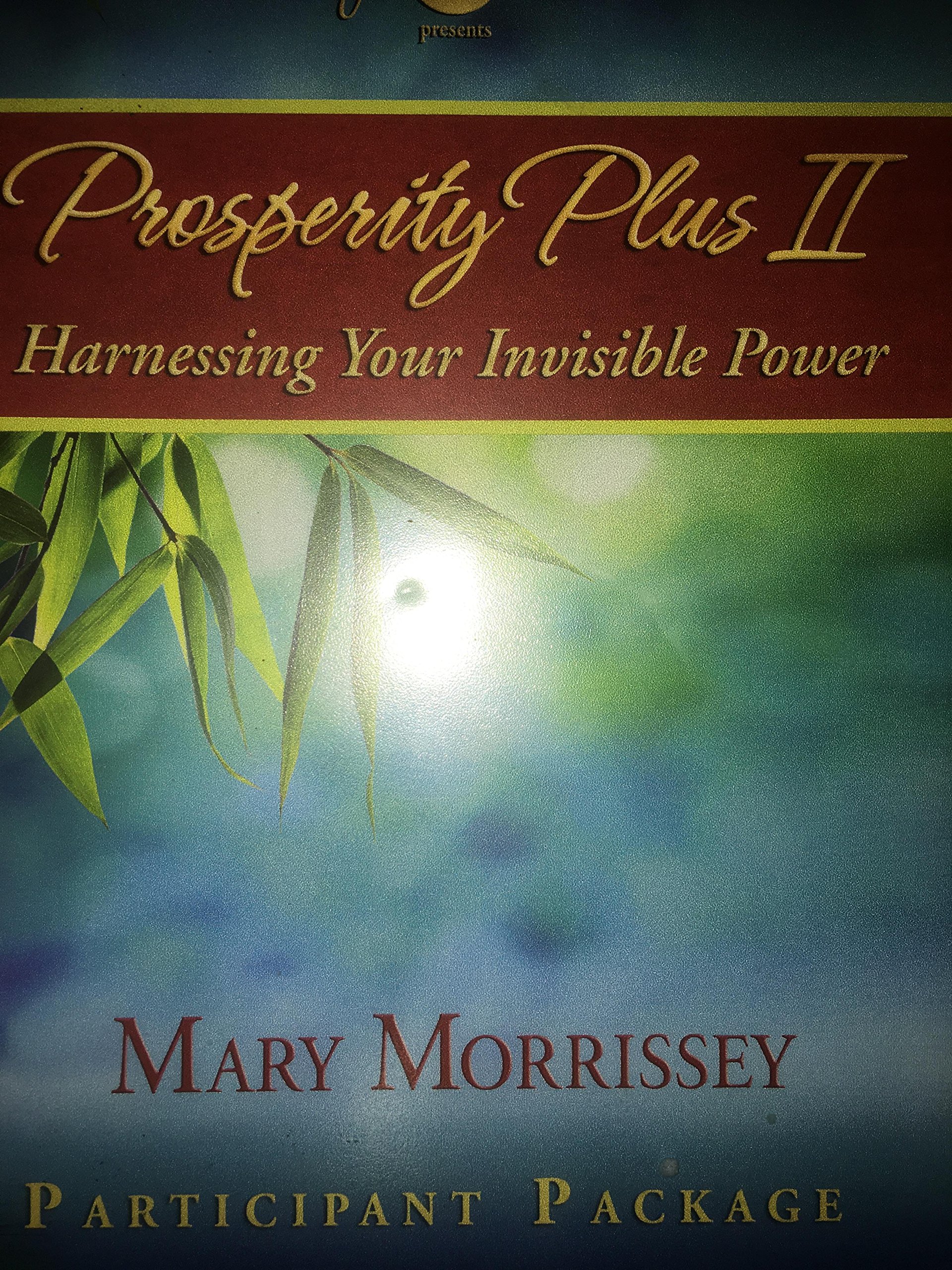 Prosperity Plus II - Harnessing Your Invisible Power by Mary Morrissey | Goodreads