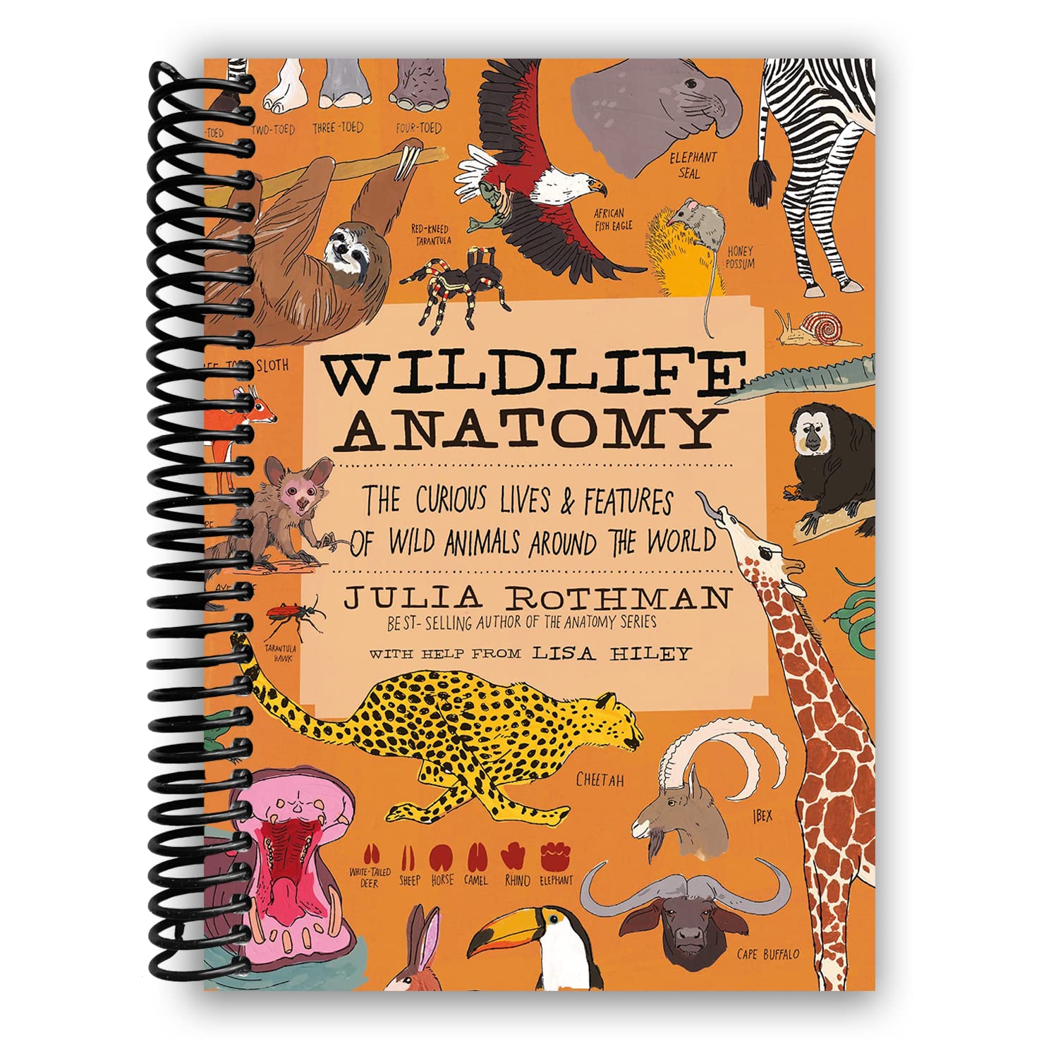 Wildlife Anatomy: The Curious Lives & Features of Wild Animals around ...