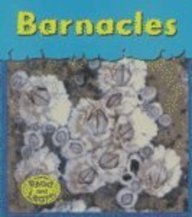 Barnacles (Heinemann Read & Learn) by Lola M. Schaefer | Goodreads