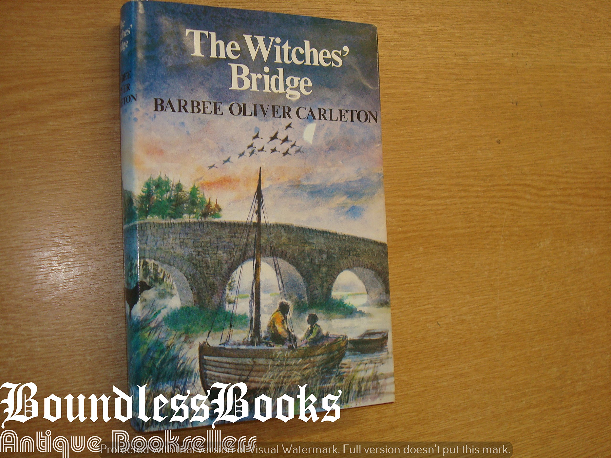 Witches' Bridge by Barbee Oliver Carleton | Goodreads